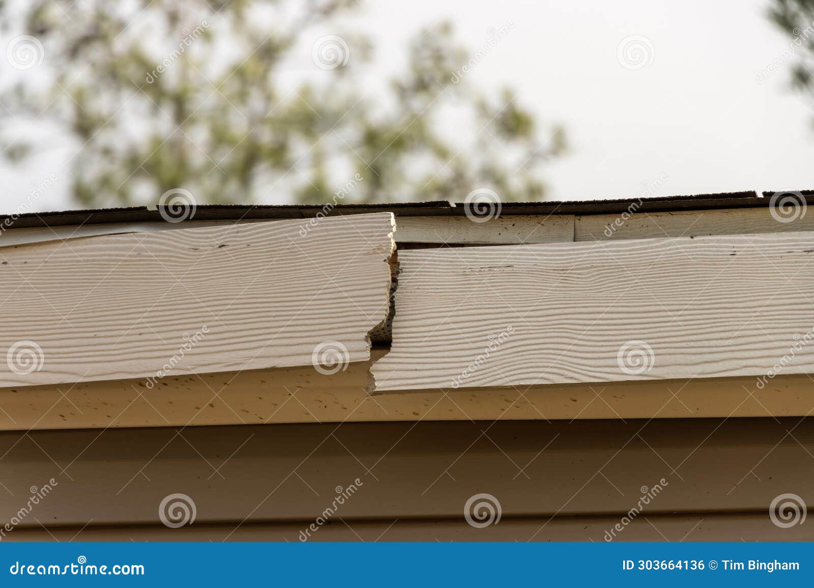 Roof Damage from Tree Falling Stock Photo - Image of fall, fallen ...
