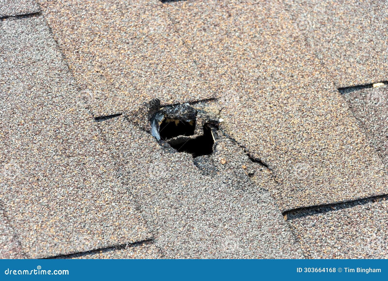 Roof Damage from Tree Falling Stock Photo - Image of construction ...