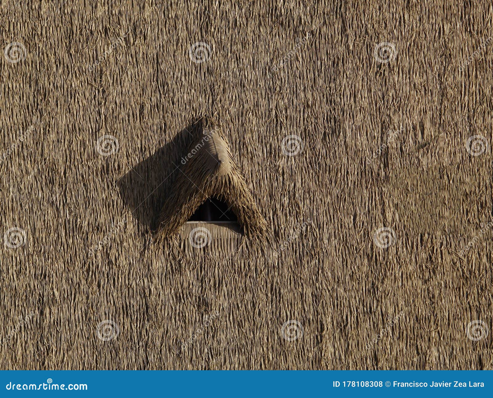 Mayan Style Architecture and Exterior Design Stock Photo - Image of ...