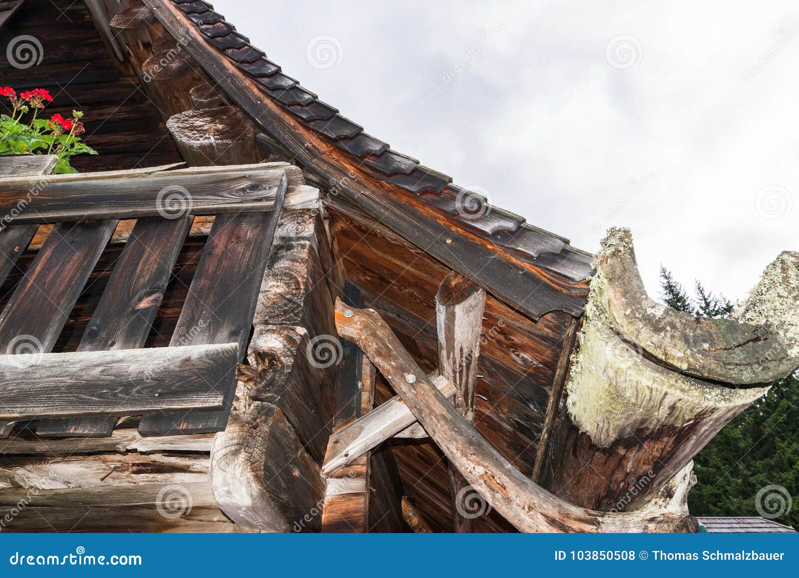 Roof and Drip Rail on an Alpine Cabin, Austria Stock Photo - Image of ...