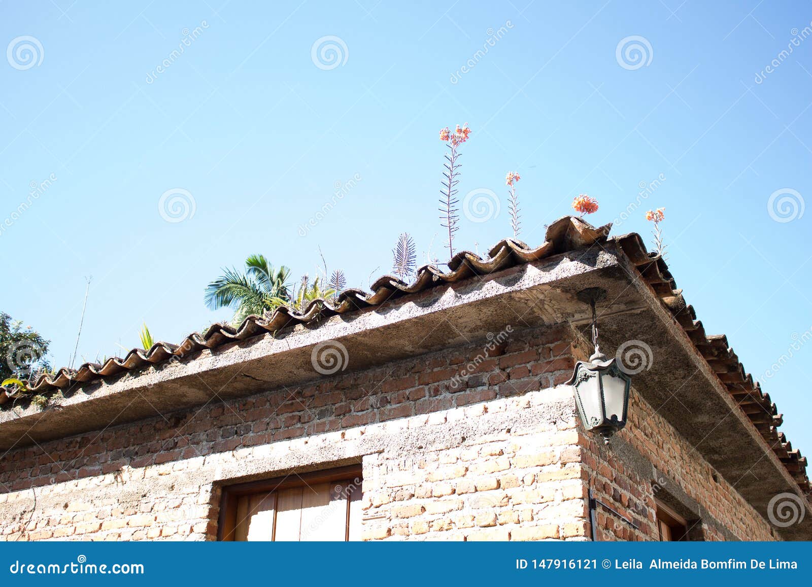 The Roof with Flowers Growing. Stock Image - Image of plants, place ...