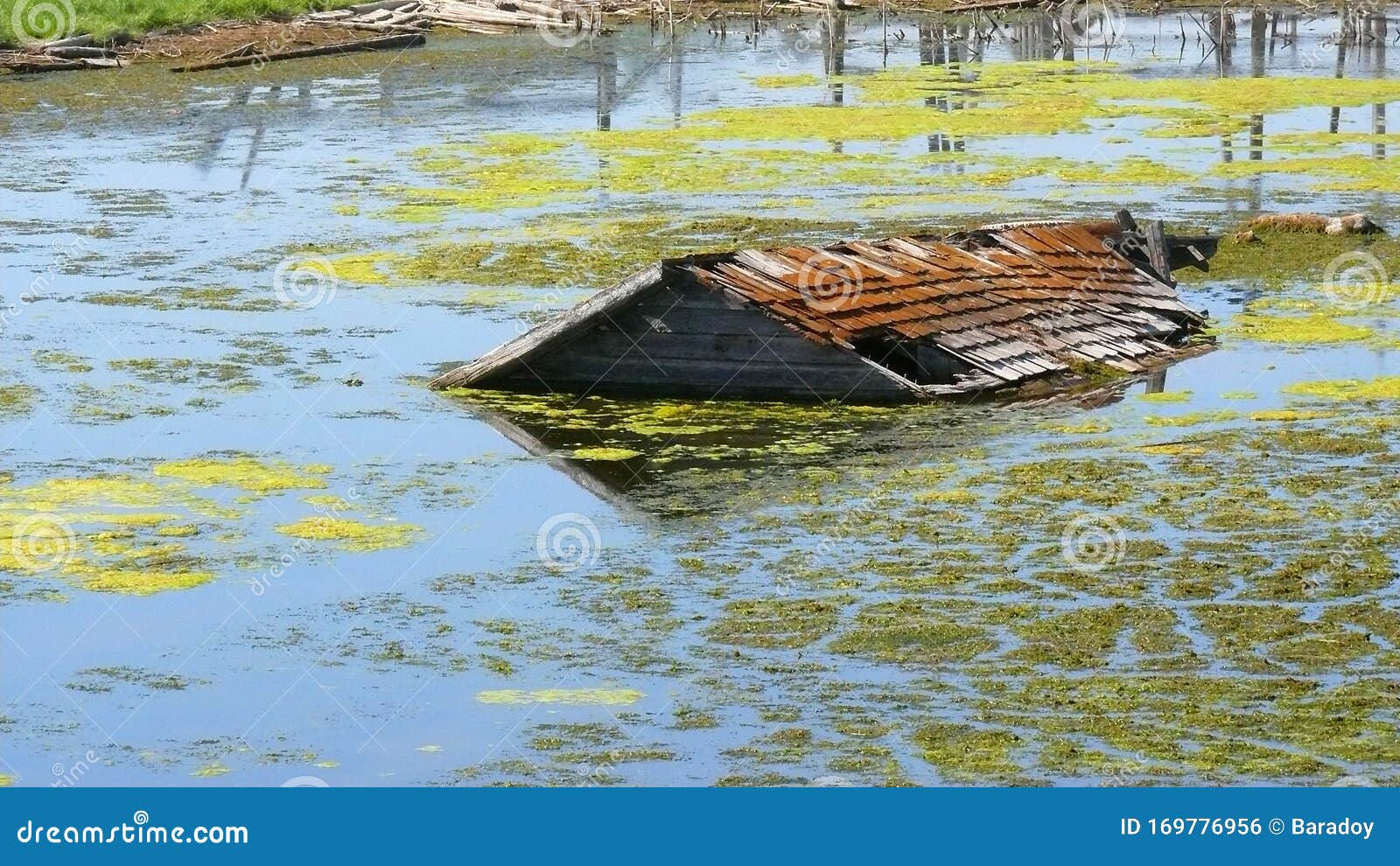 166 Horse Water Stall Stock Photos - Free & Royalty-Free Stock Photos ...