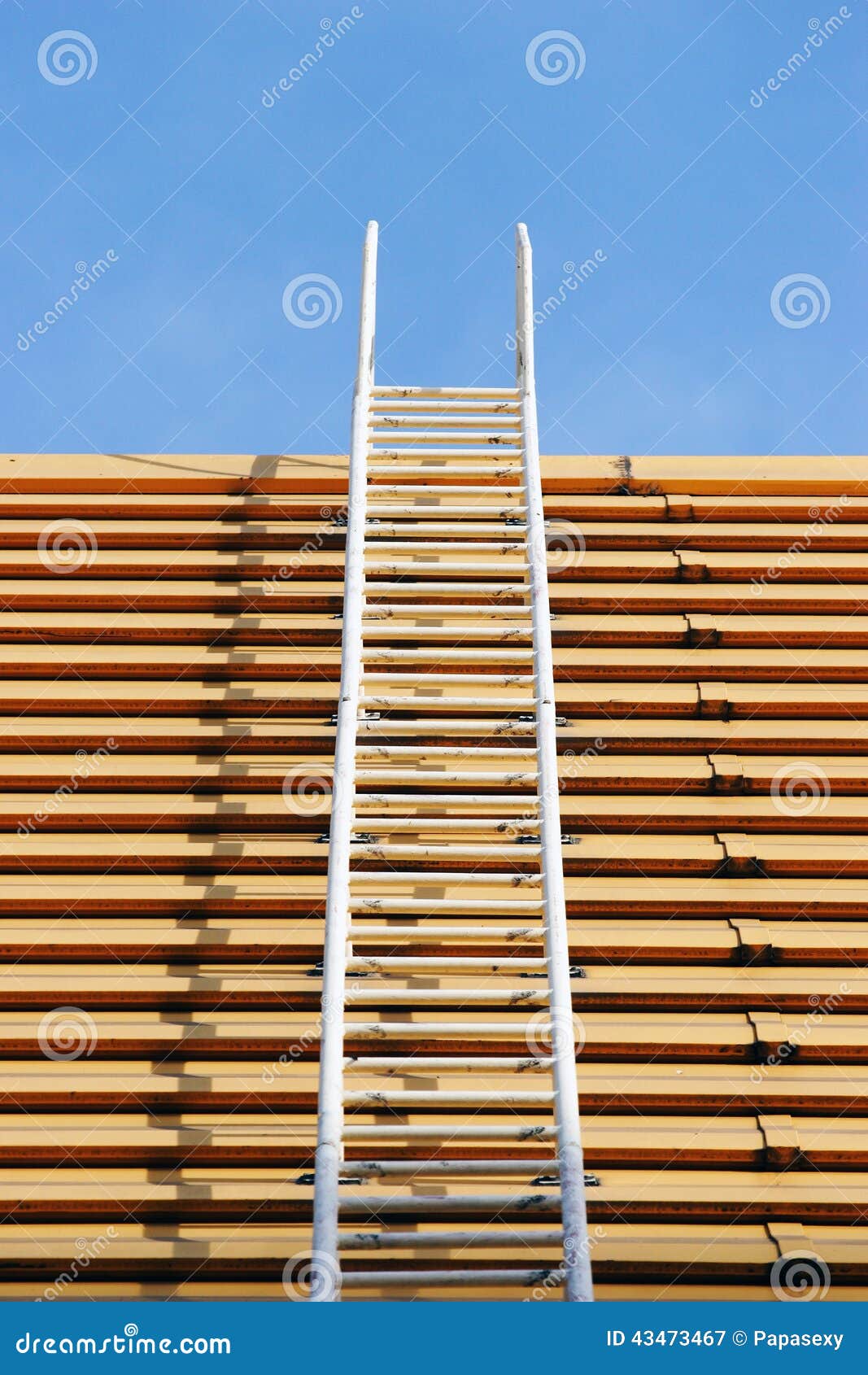 Roof ladder stock image. Image of level, construction - 43473467