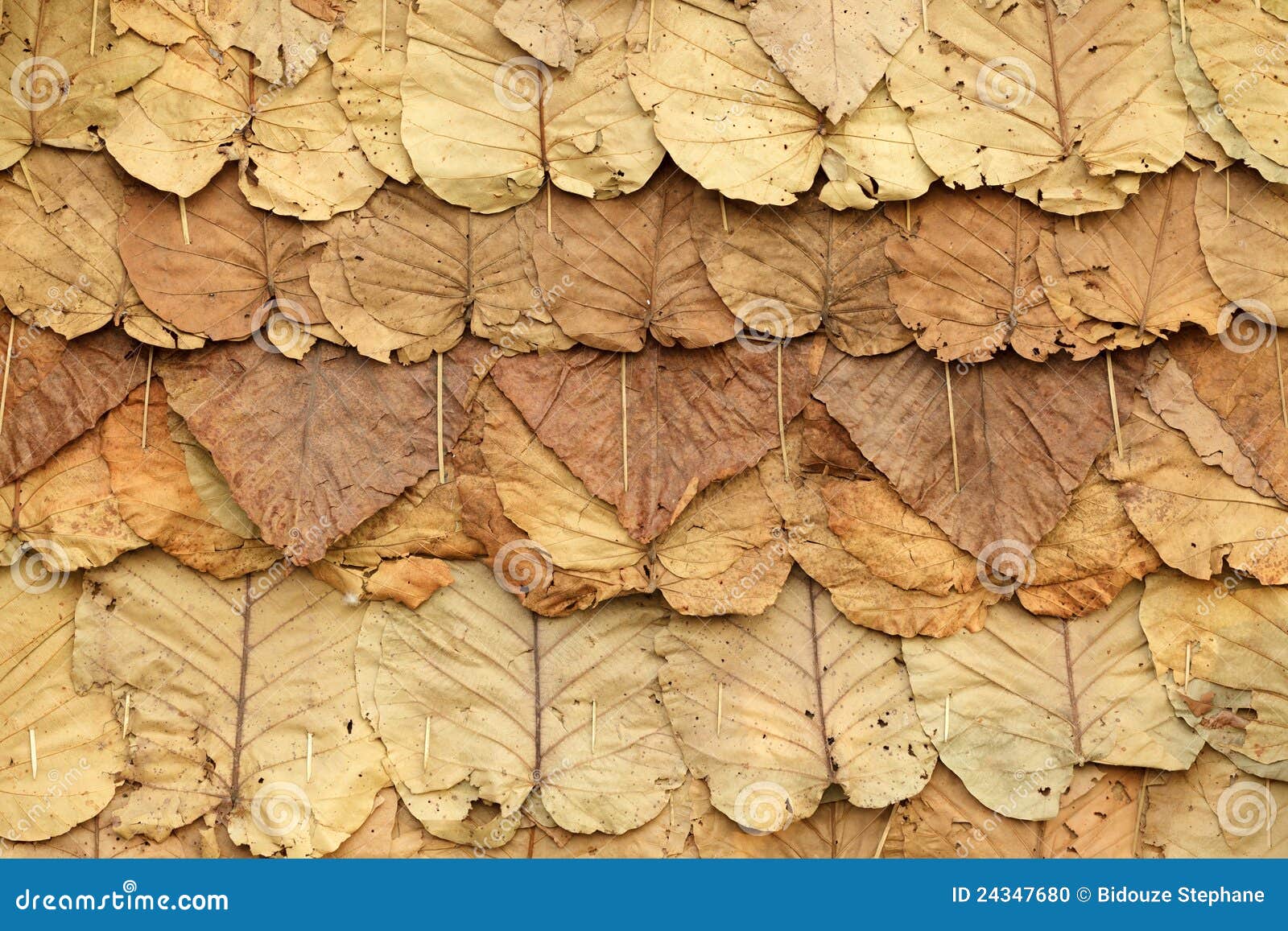 Roof leaf stock photo. Image of rural, roofing, pattern - 24347680