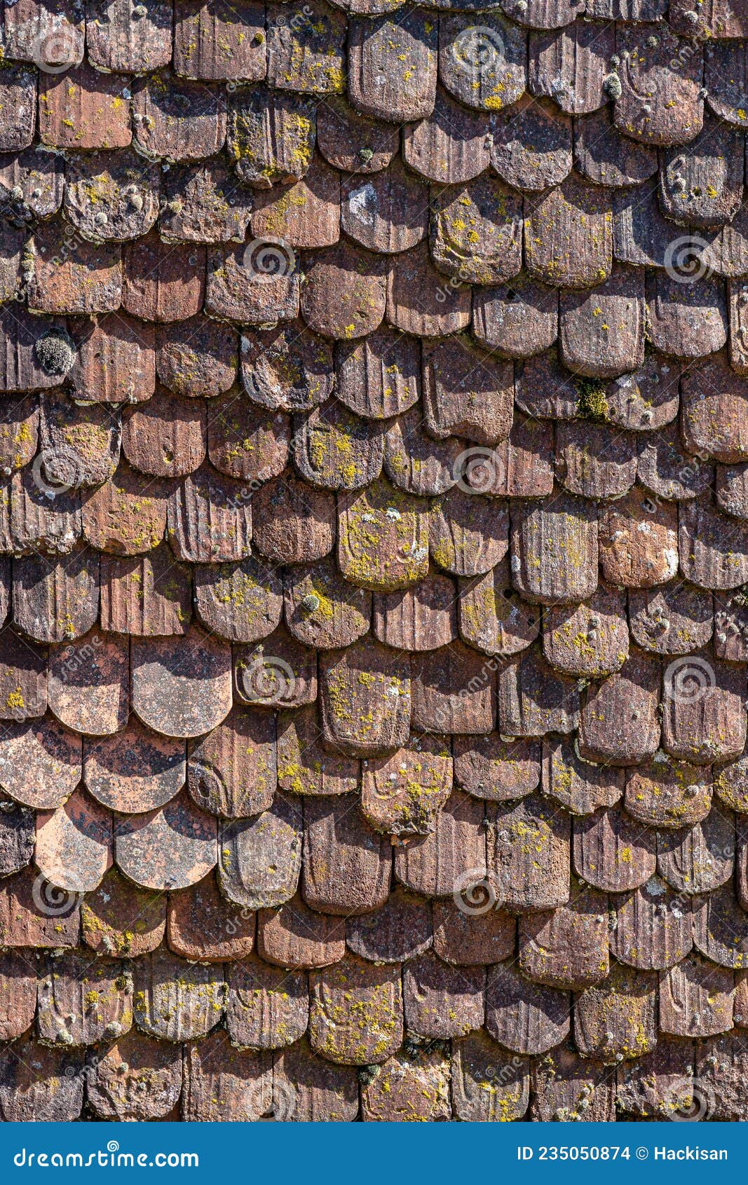 Roof of One of the Towers of the Castle Stock Photo - Image of castle ...