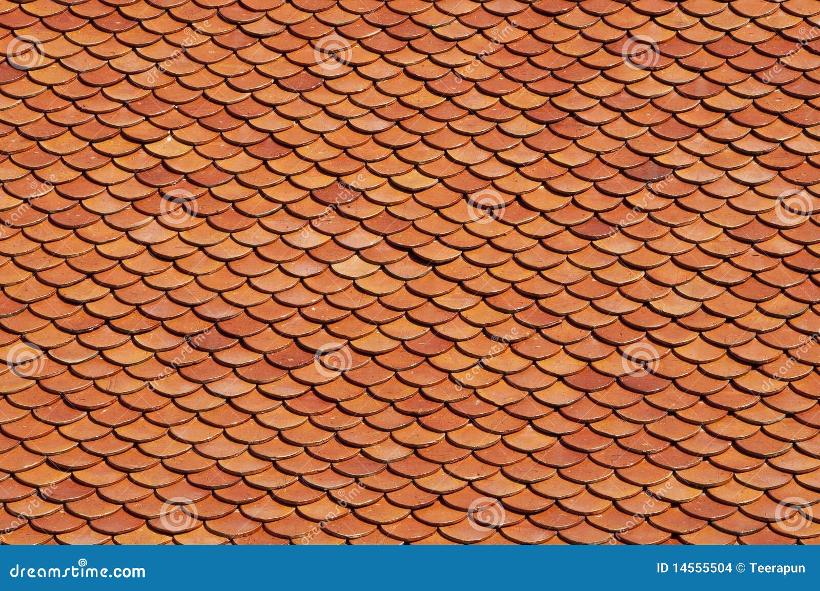 Roof pattern stock photo. Image of clay, architecture - 14555504
