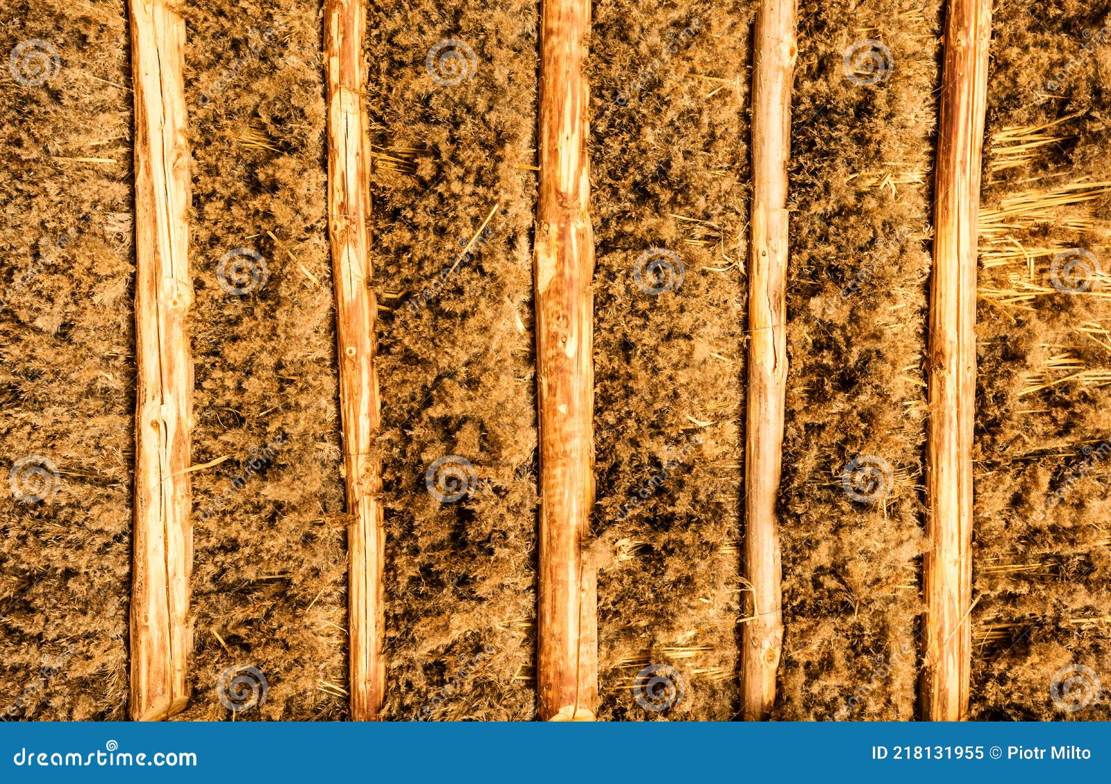 Roof Rafters Texture. Straw and Tree Stock Image - Image of panel ...