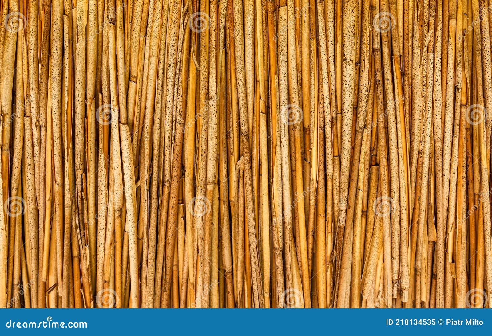 Roof Rafters Texture. Straw and Tree Stock Image - Image of panel ...
