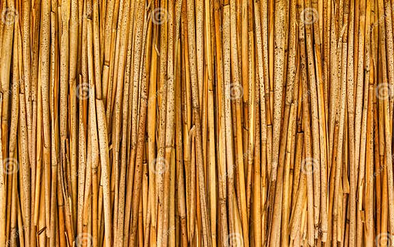 Roof Rafters Texture. Straw and Tree Stock Image - Image of panel ...