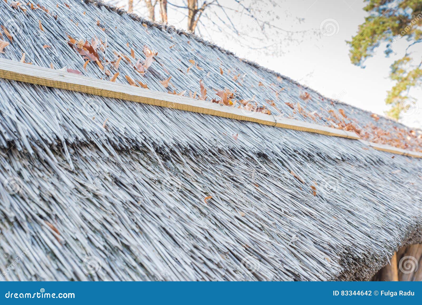 Roof of reed stock photo. Image of close, ecologically - 83344642