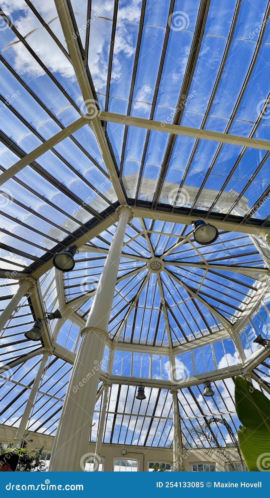The Roof of the Temperate House at Kew Stock Image - Image of suitable ... The Roof of the Temperate House at Kew Stock Image - Image of suitable ...