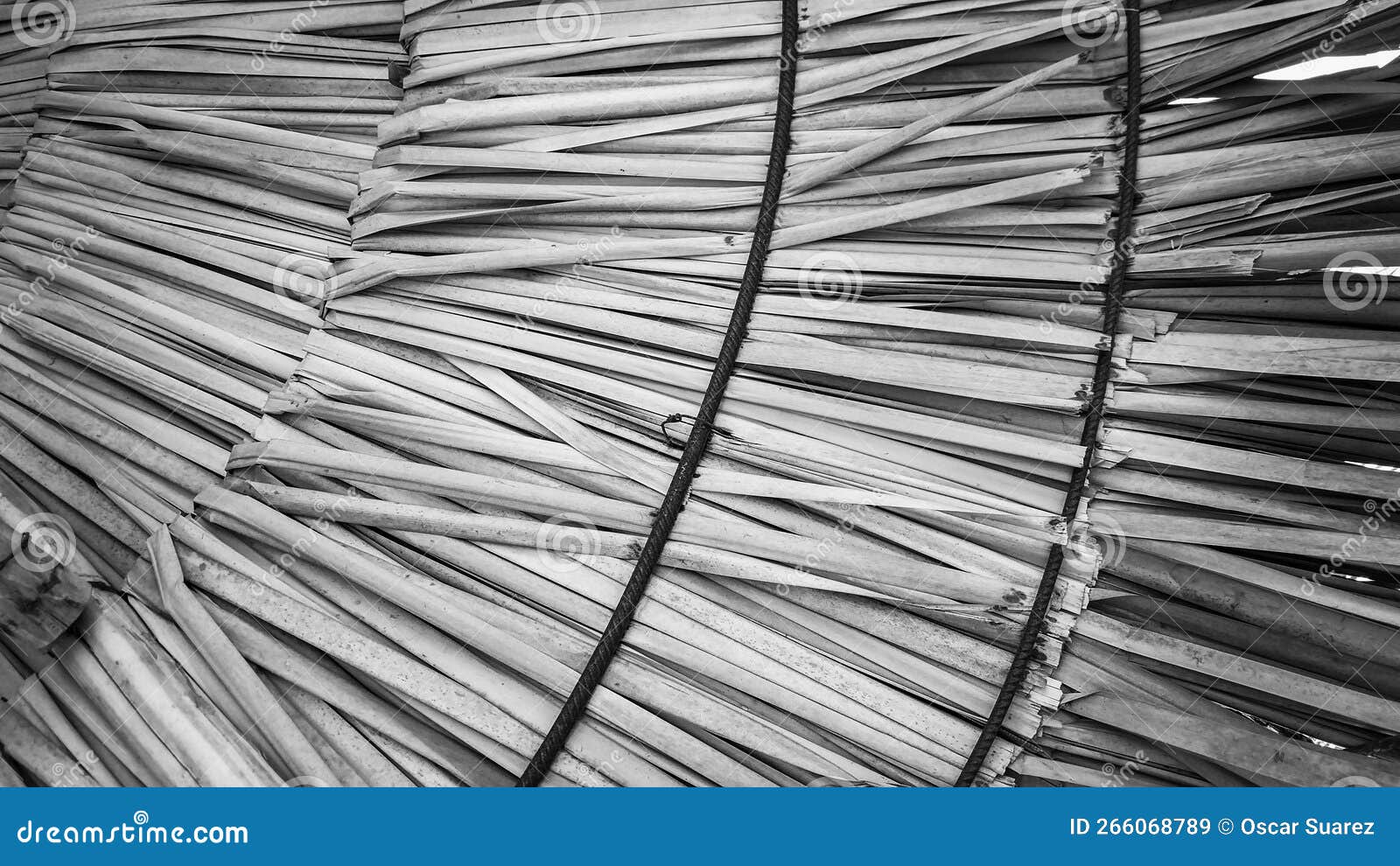 Roof Texture, Thatched Wall, Black and White Photo, for Multiple Uses ...