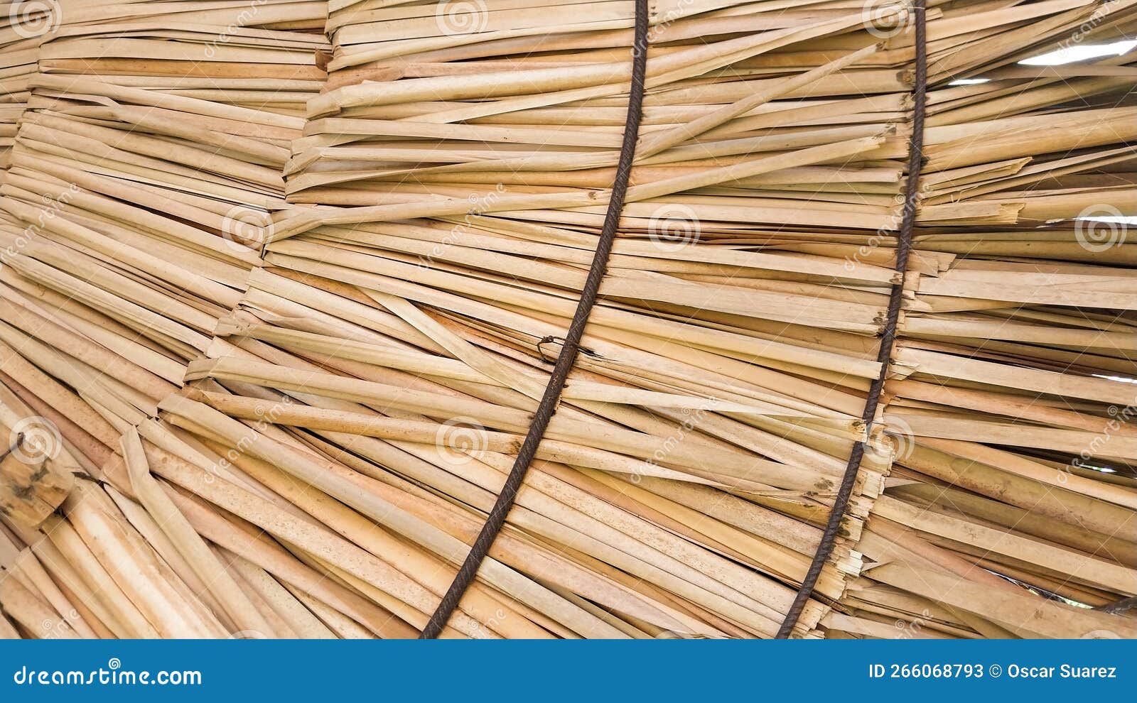 Roof Texture, Thatched Wall, Golden Straw, for Multiple Uses Stock ...