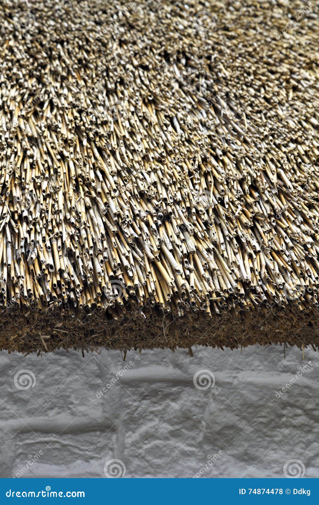 Roof Thatching stock photo. Image of thatching, home - 74874478