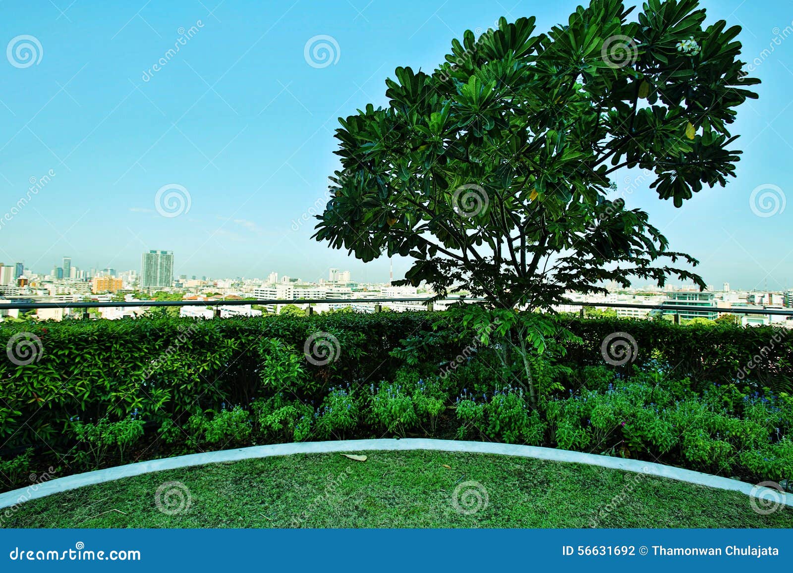 Roof top garden stock photo. Image of designer, landscaping - 56631692