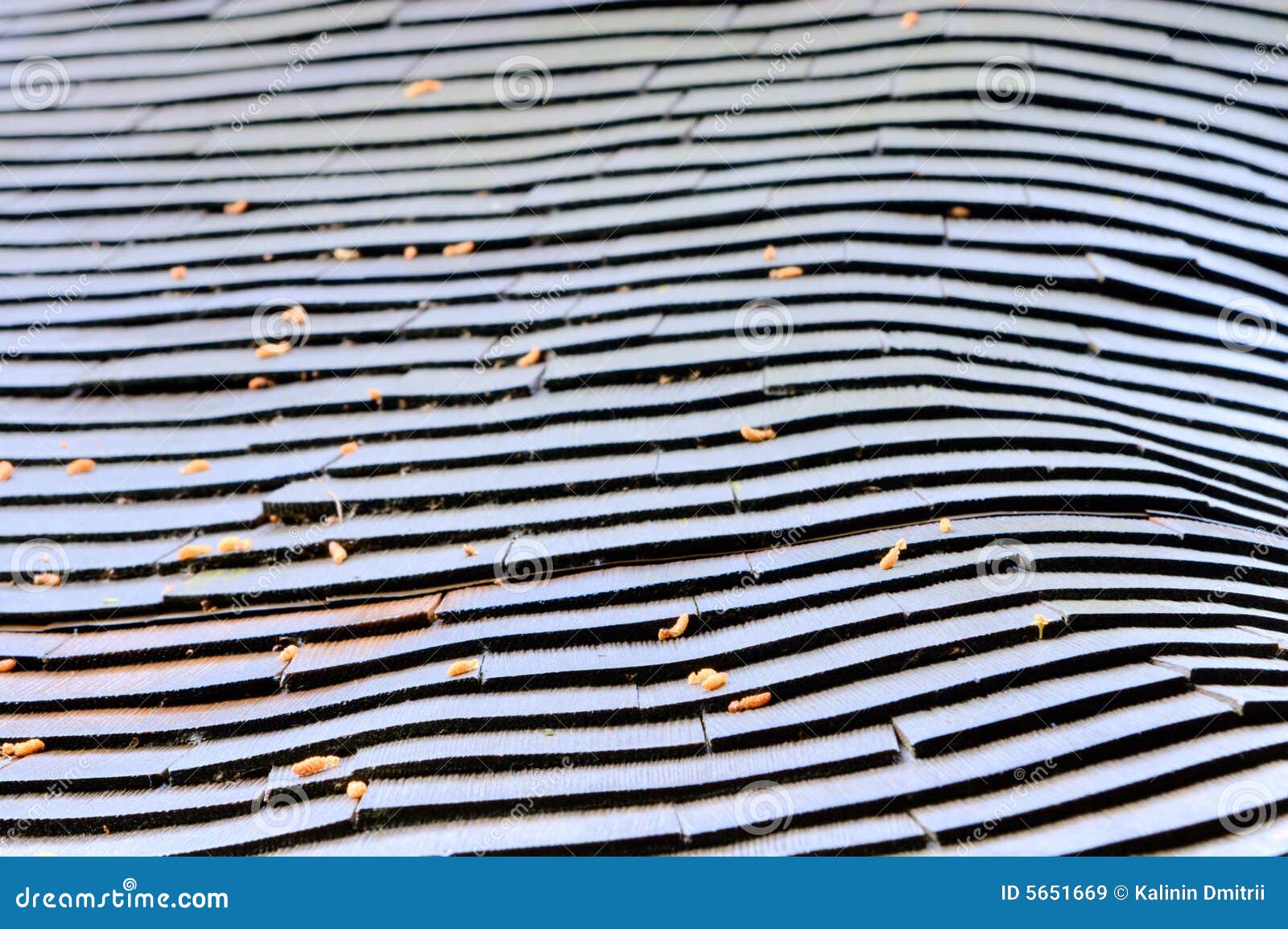 Roof-top pattern stock image. Image of bamboo, covering - 5651669