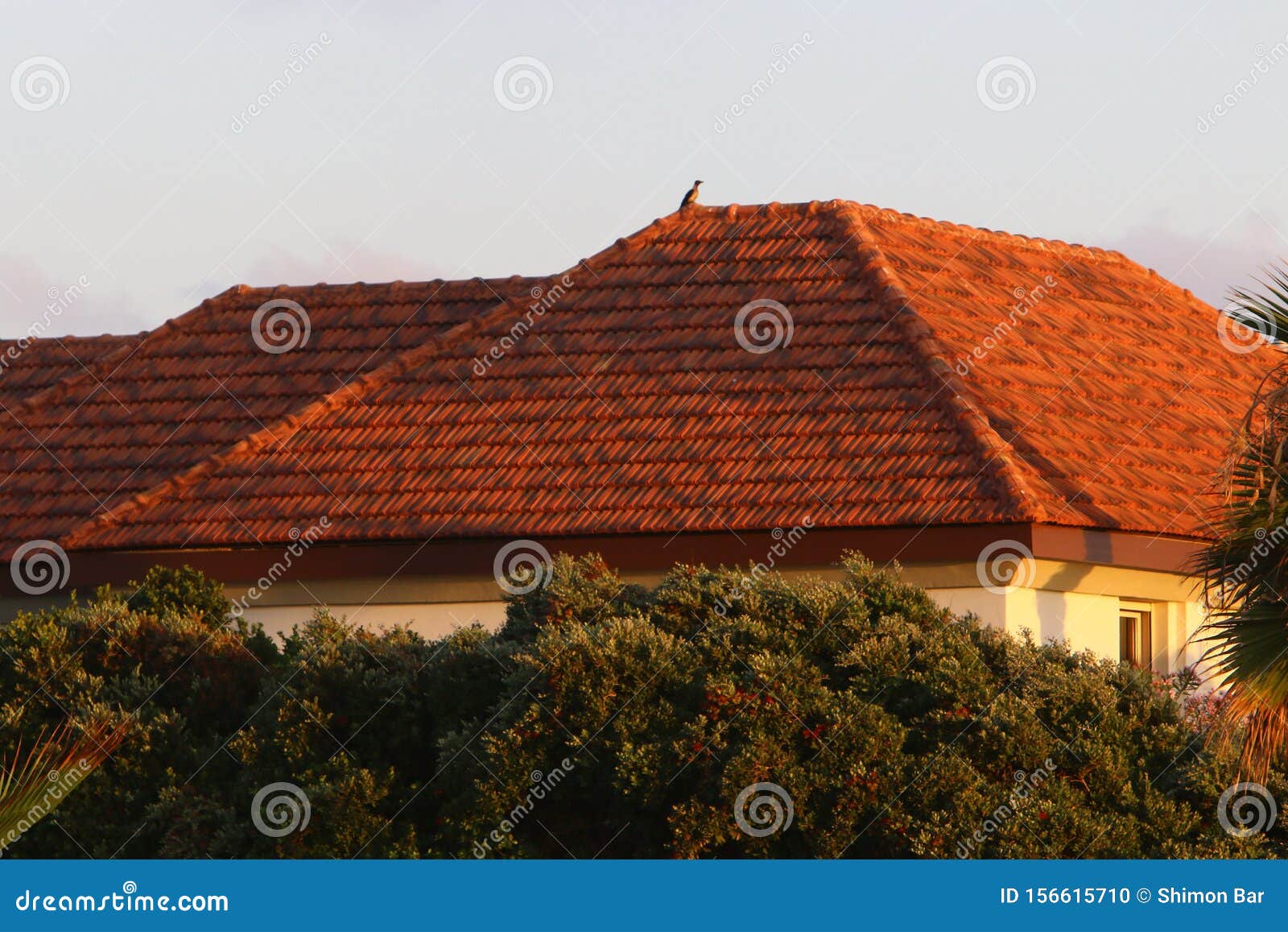 Roof - the Upper Structure of the Building and Structures Stock Photo ...