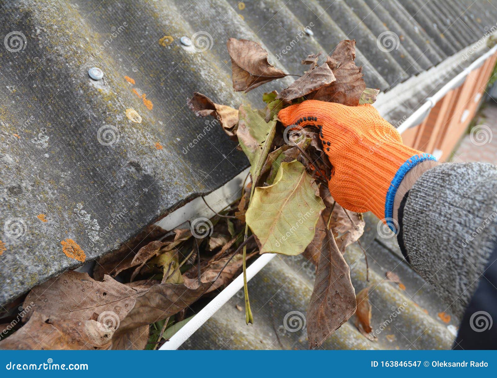 Roofer Hand Cleaning Rain Gutter from Leaves in Autumn. Roof Gutter ... Roofer Hand Cleaning Rain Gutter from Leaves in Autumn. Roof Gutter ...