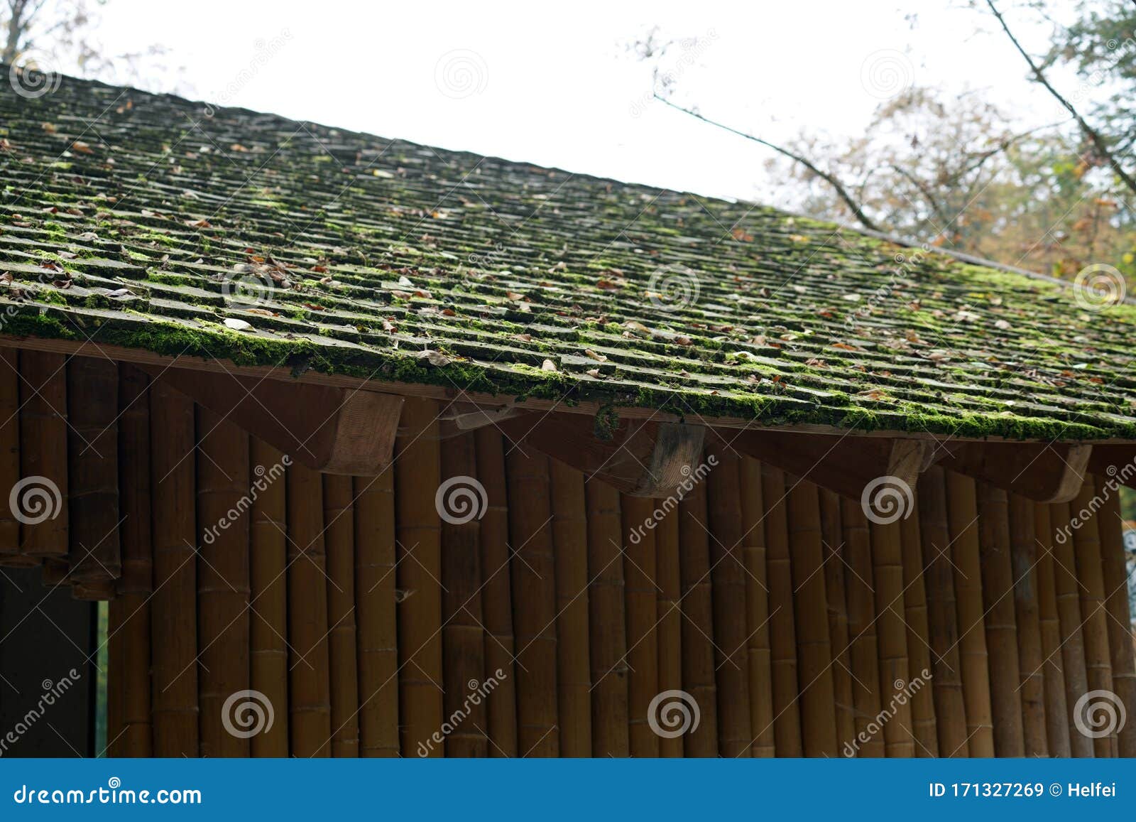 Roofing with Different Materials is Overgrown with Moss and Other ...