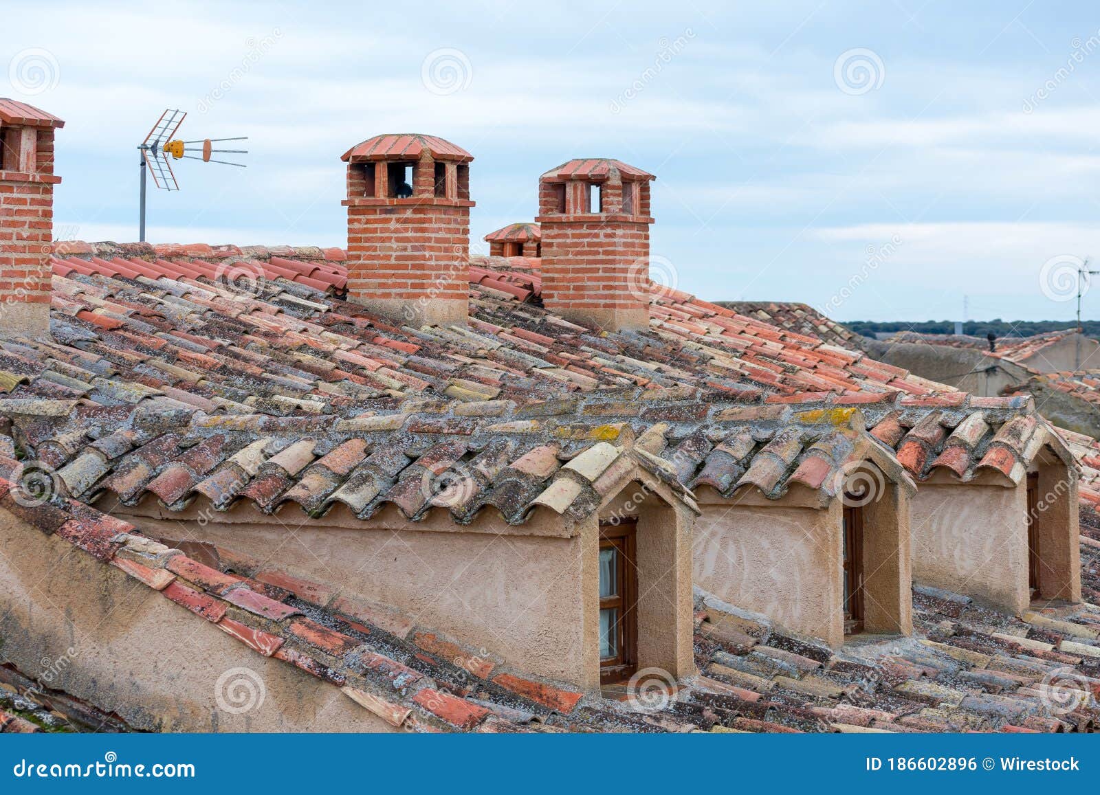 Roofs of a Building Covered in Mosses Under the Sunlight and a Blue ...