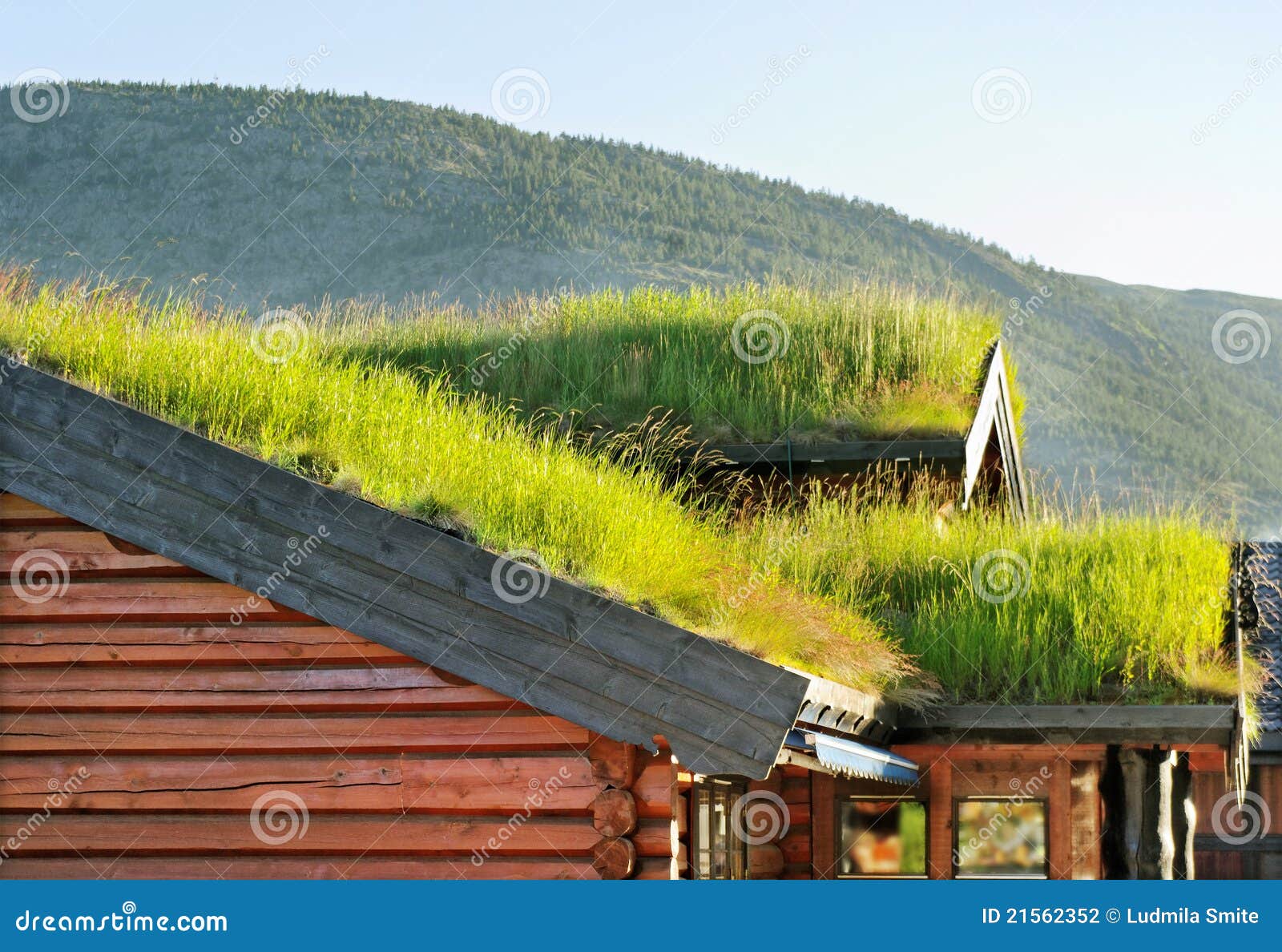 Roofs with grass. stock photo. Image of horizontal, blue - 21562352