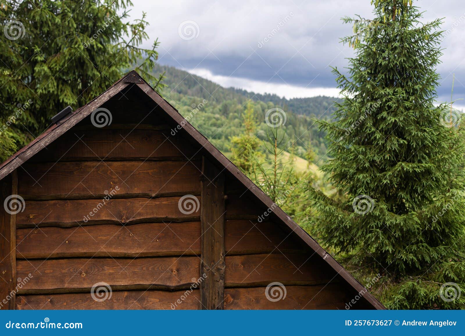 Roofs of Houses in the Forest Stock Image - Image of roof, wooden ...