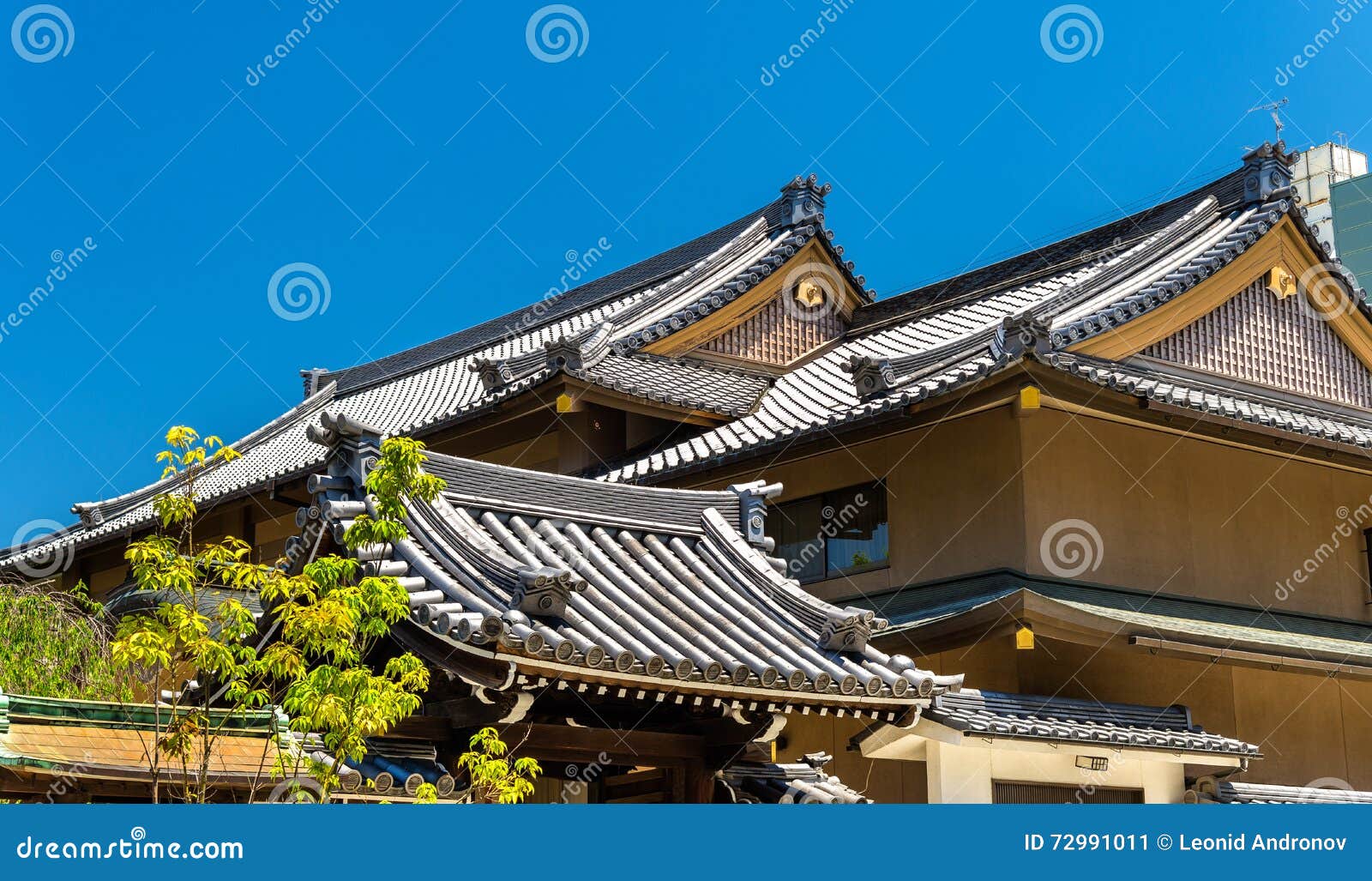 Roofs of a Shinto Shrine in Nara Stock Image - Image of japanese ...