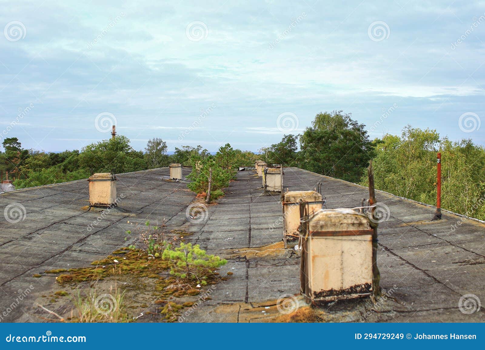 On the Rooftop of an Abandoned Concrete Building with Trees Growing ...