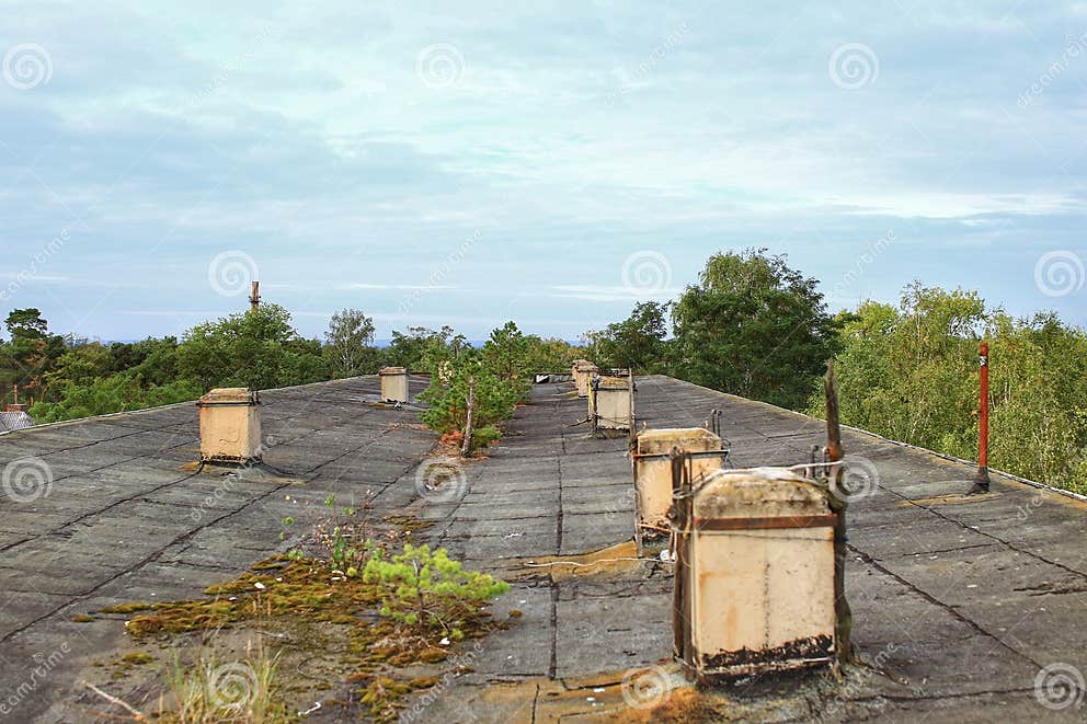 On the Rooftop of an Abandoned Concrete Building with Trees Growing ...