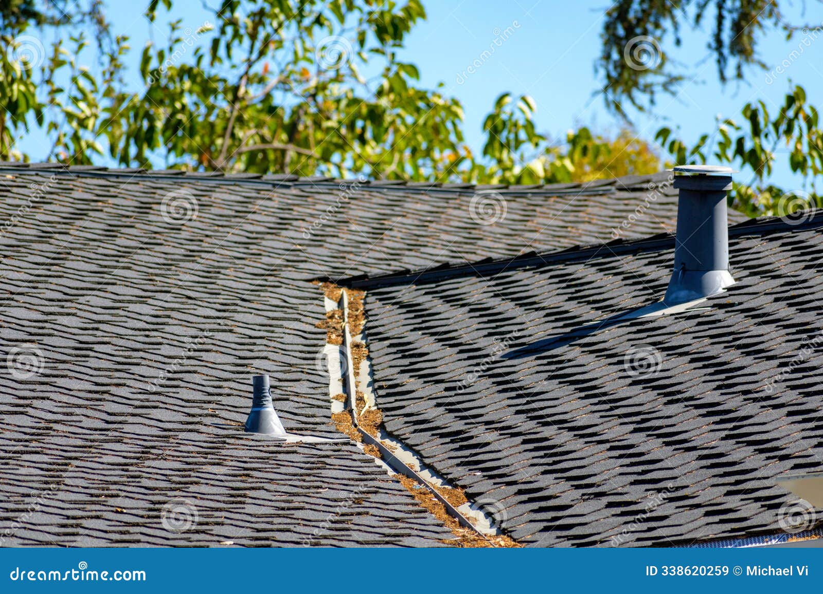 A Rooftop with Asphalt Shingles. a Gutter Filled with Leaves and Two ...