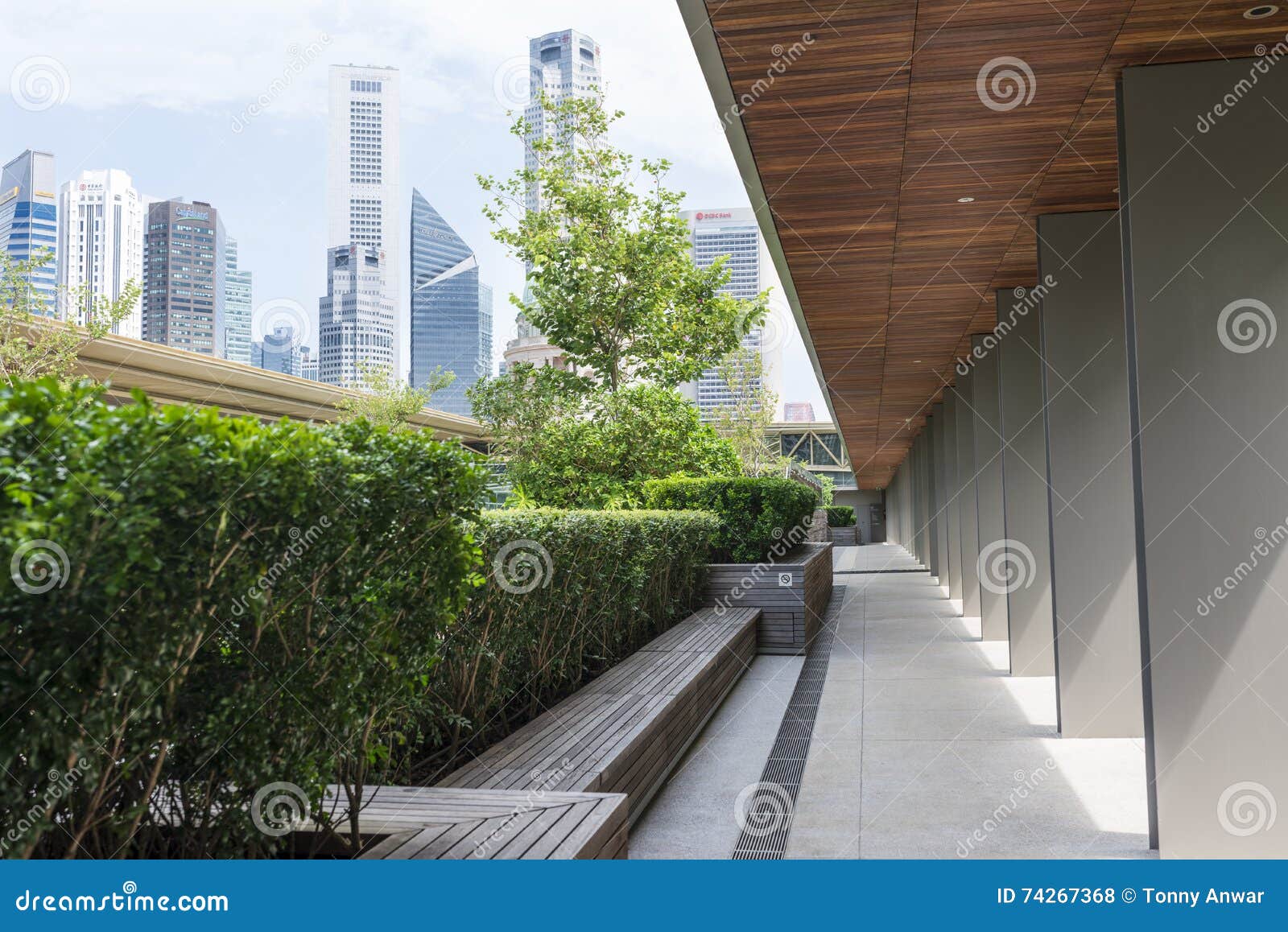 Rooftop Garden editorial stock photo. Image of roof, background - 74267368