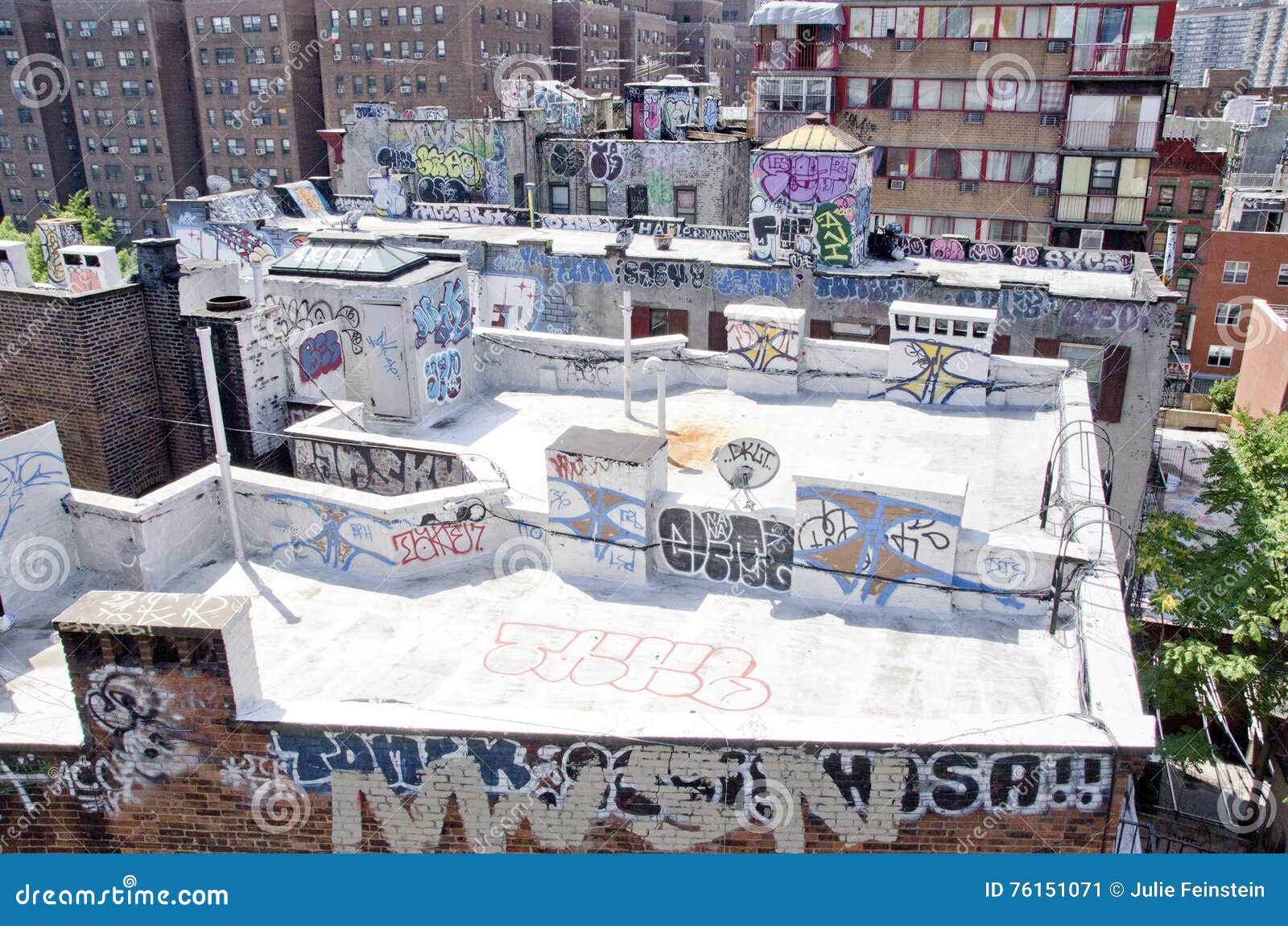 Rooftop Graffiti New York City Editorial Photo - Image of vandalism ...