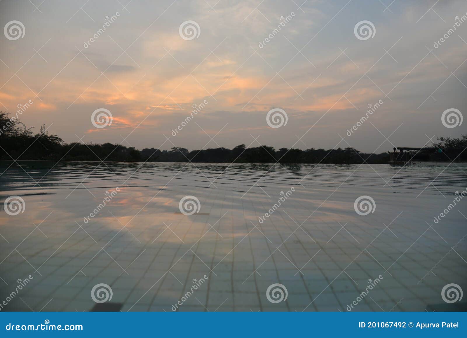 Rooftop Infinity Swimming Pool of Resort Stock Photo - Image of blue ...