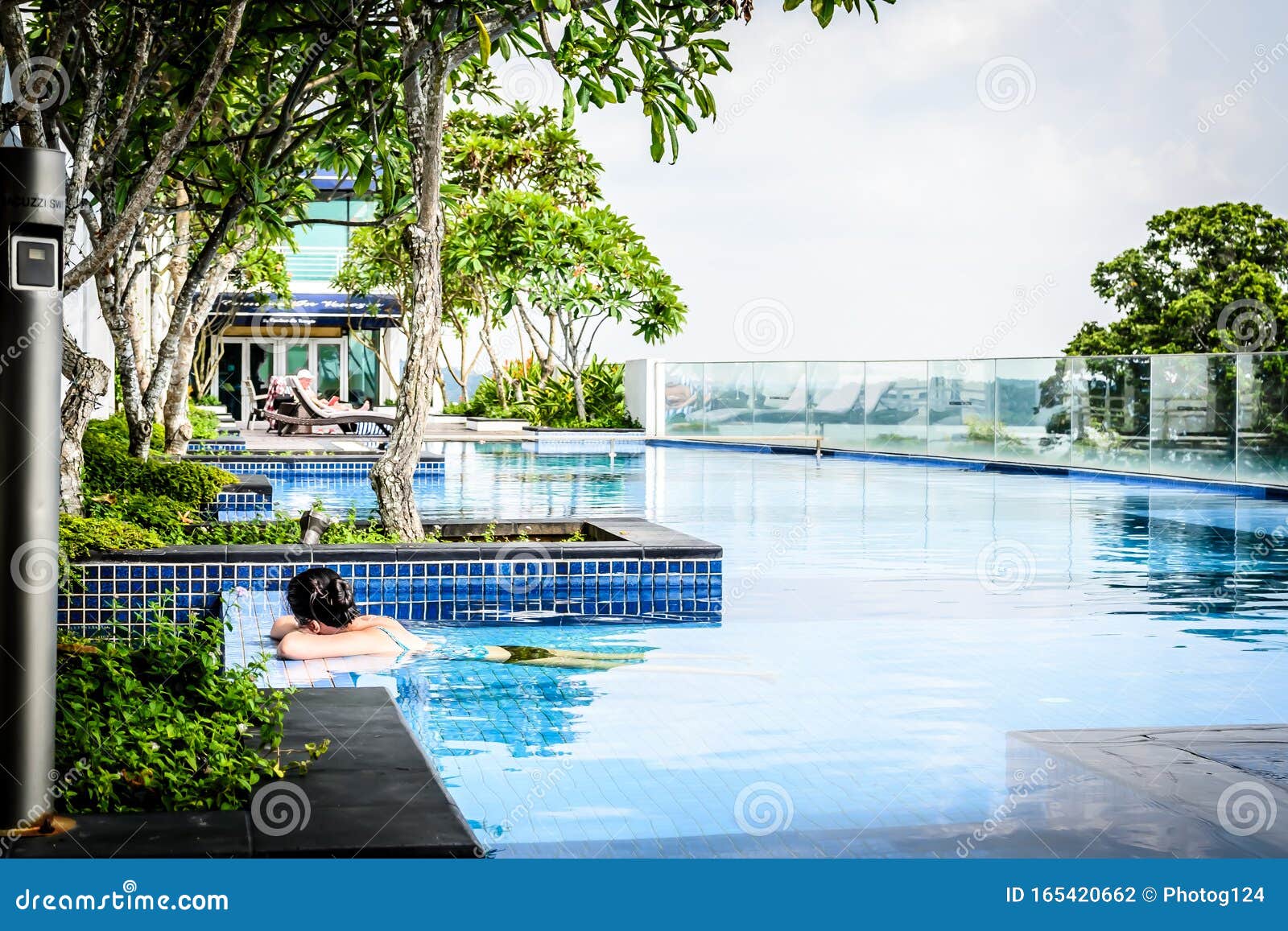 Rooftop Infinity Swimming Pool with Sunbathing Lounge Chairs and Trees ...