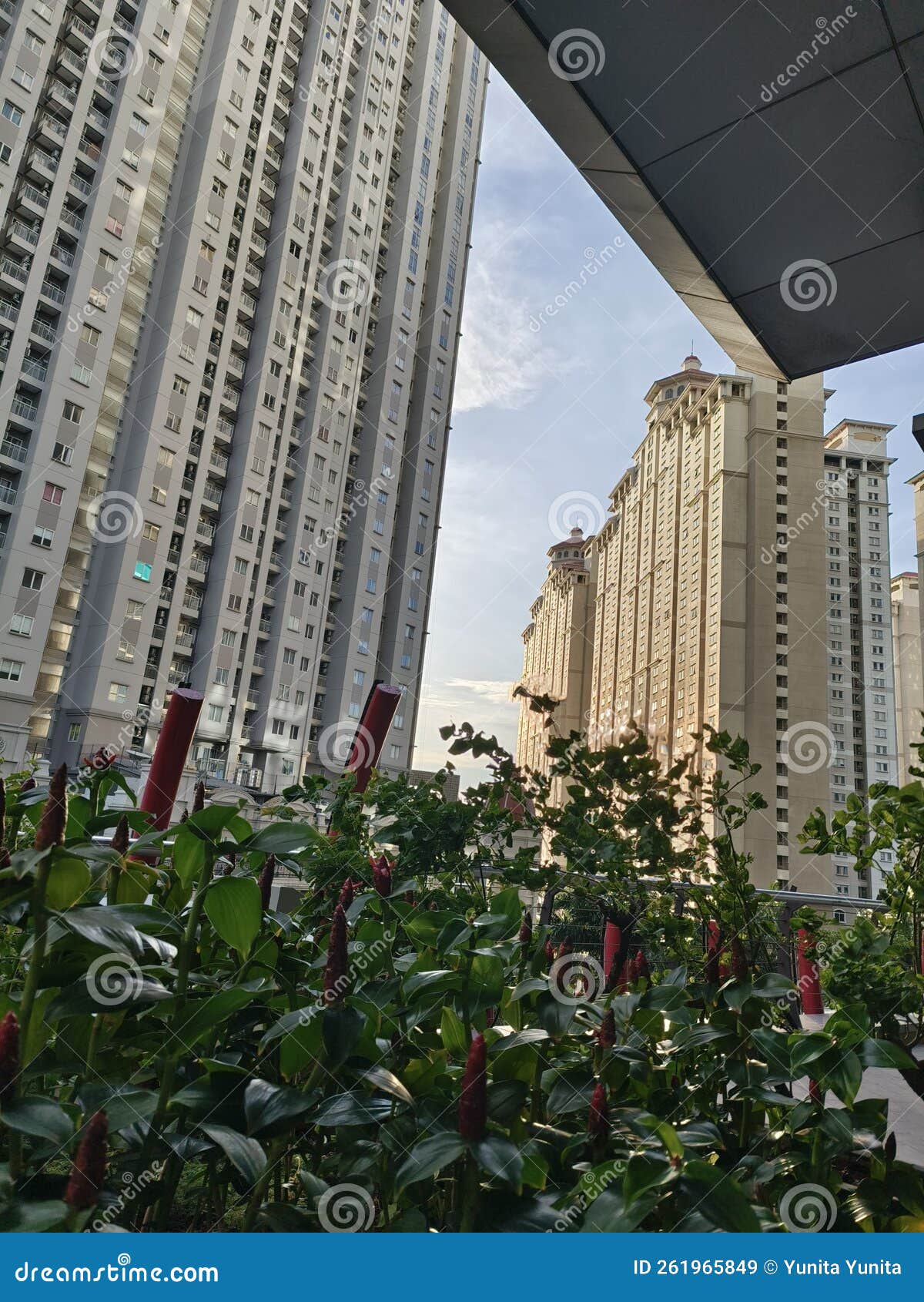 Rooftop Mall with Small Garden Stock Image - Image of garden, flower ...