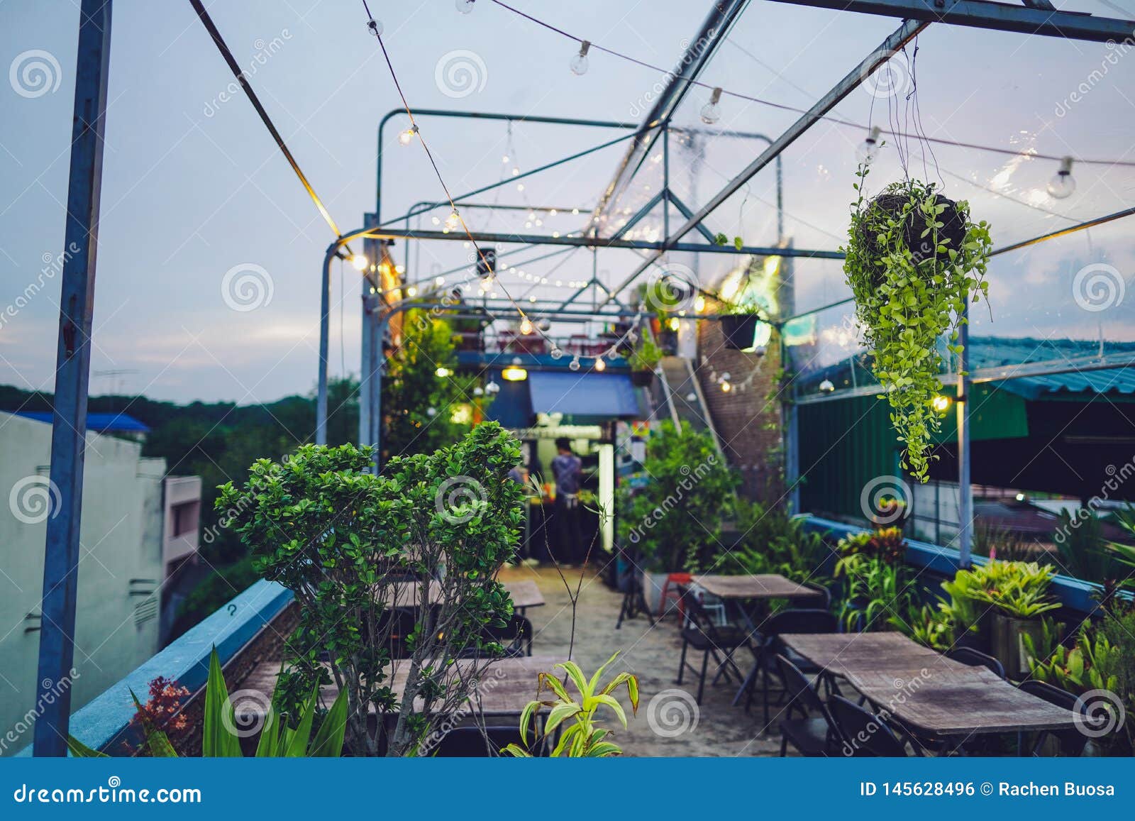 Rooftop Restaurant Decorated with Trees in the Evening Stock Photo ...