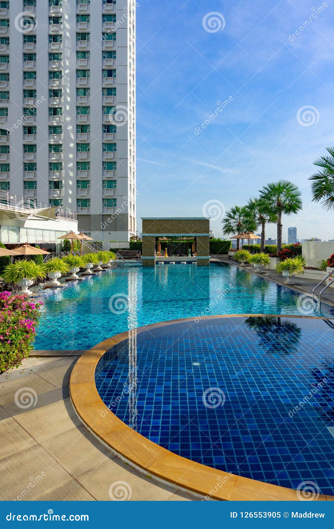 Rooftop Swimming Pool editorial image. Image of sunny - 126553905