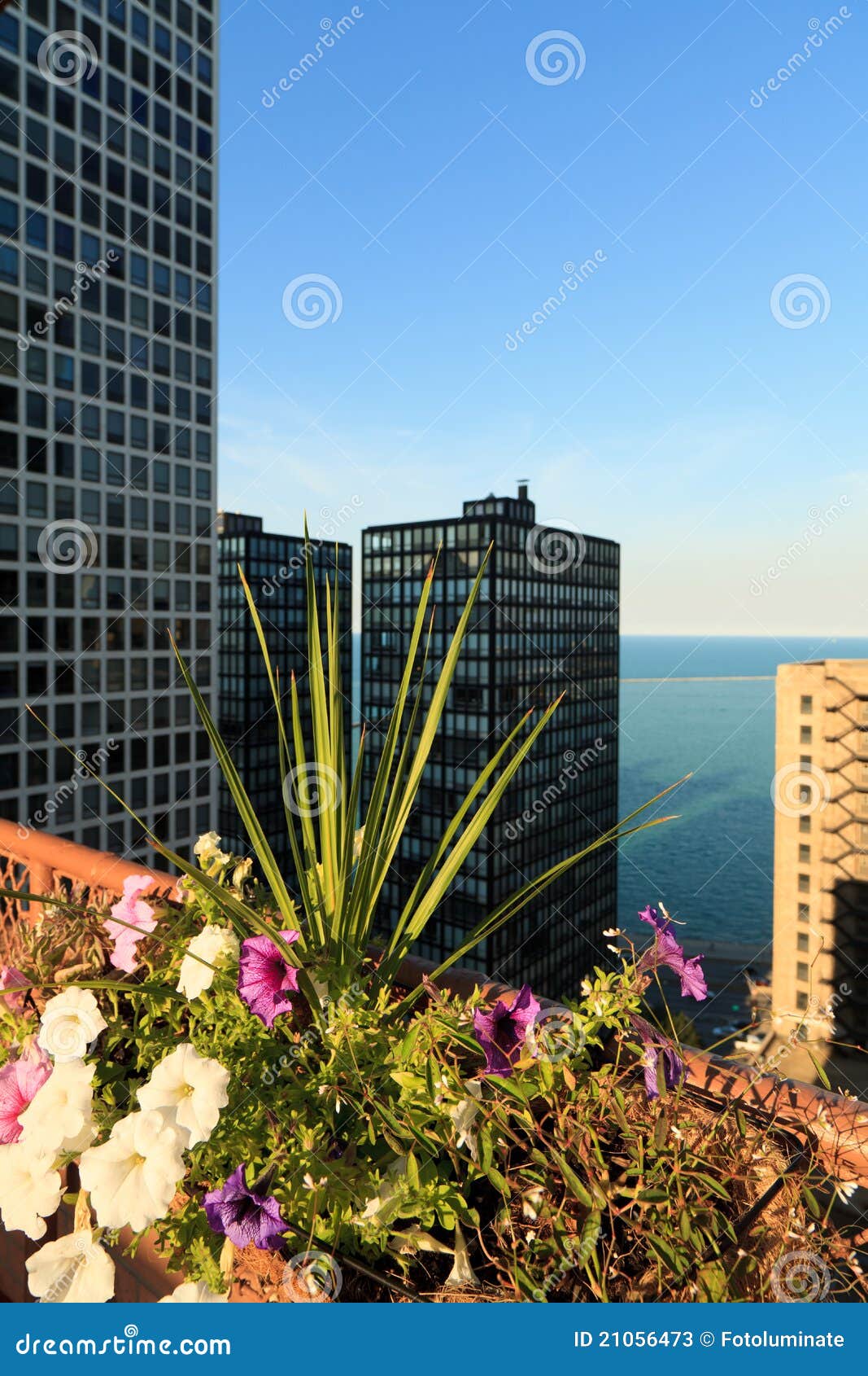 Rooftop View stock image. Image of architecture, plants - 21056473
