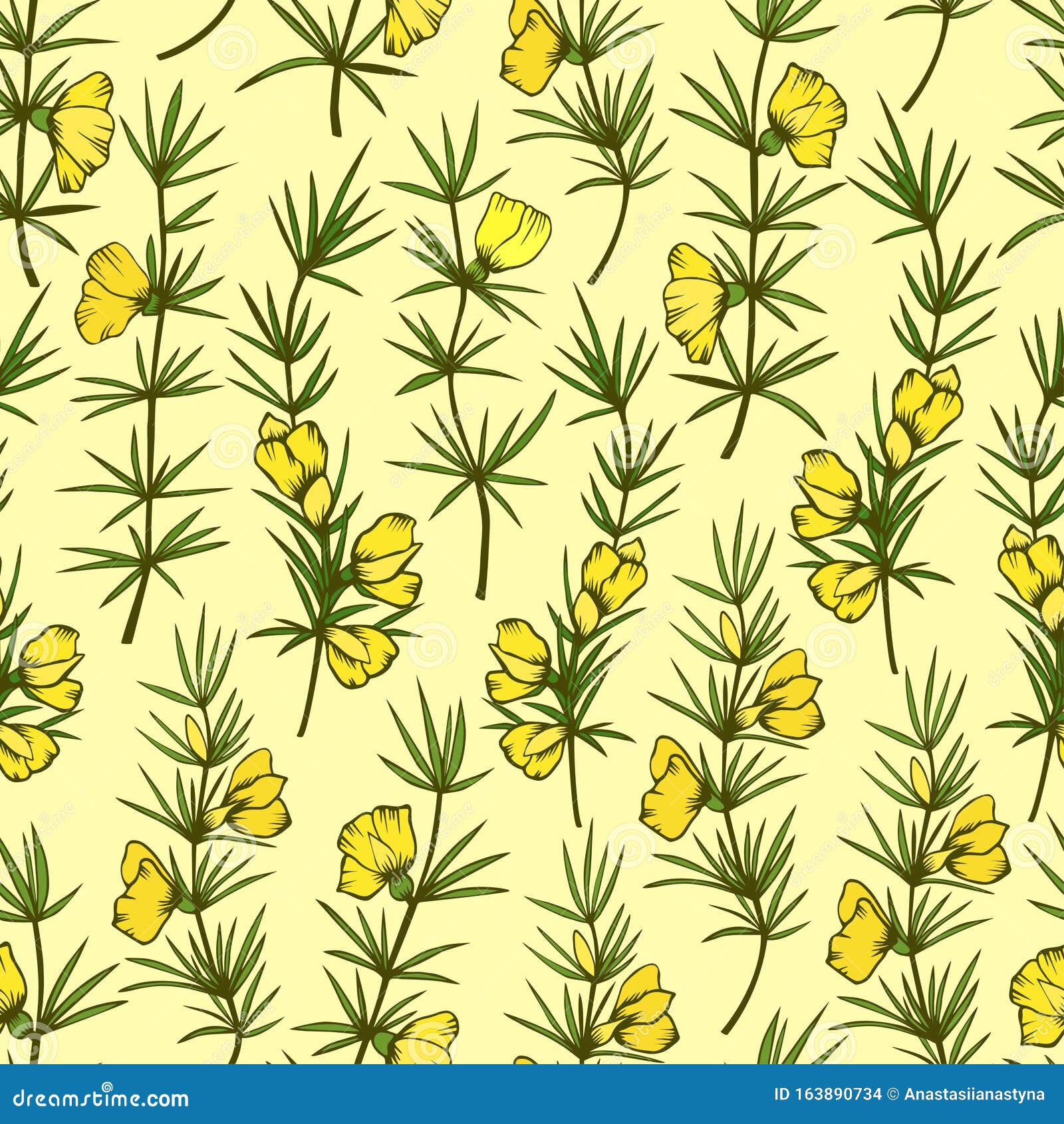 Seamless Vector Pattern with Rooibos Branches Stock Vector - Illustration of drink, garden ...