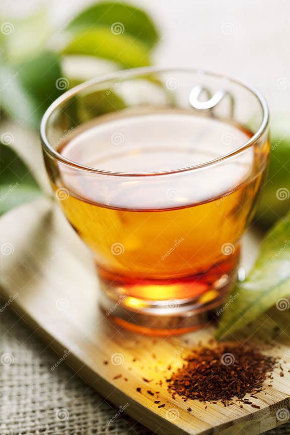 Rooibos tea stock photo. Image of herbal, healthy, rooibos - 17124722