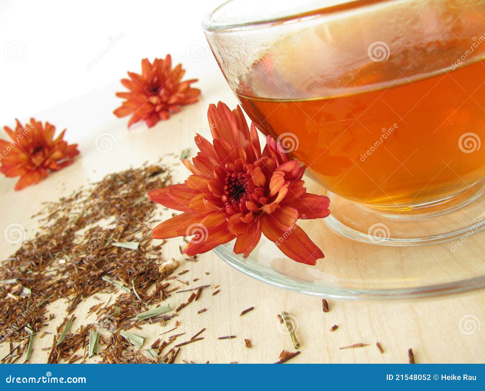 Rooibos tea stock photo. Image of rooibos, bush, herbs - 21548052