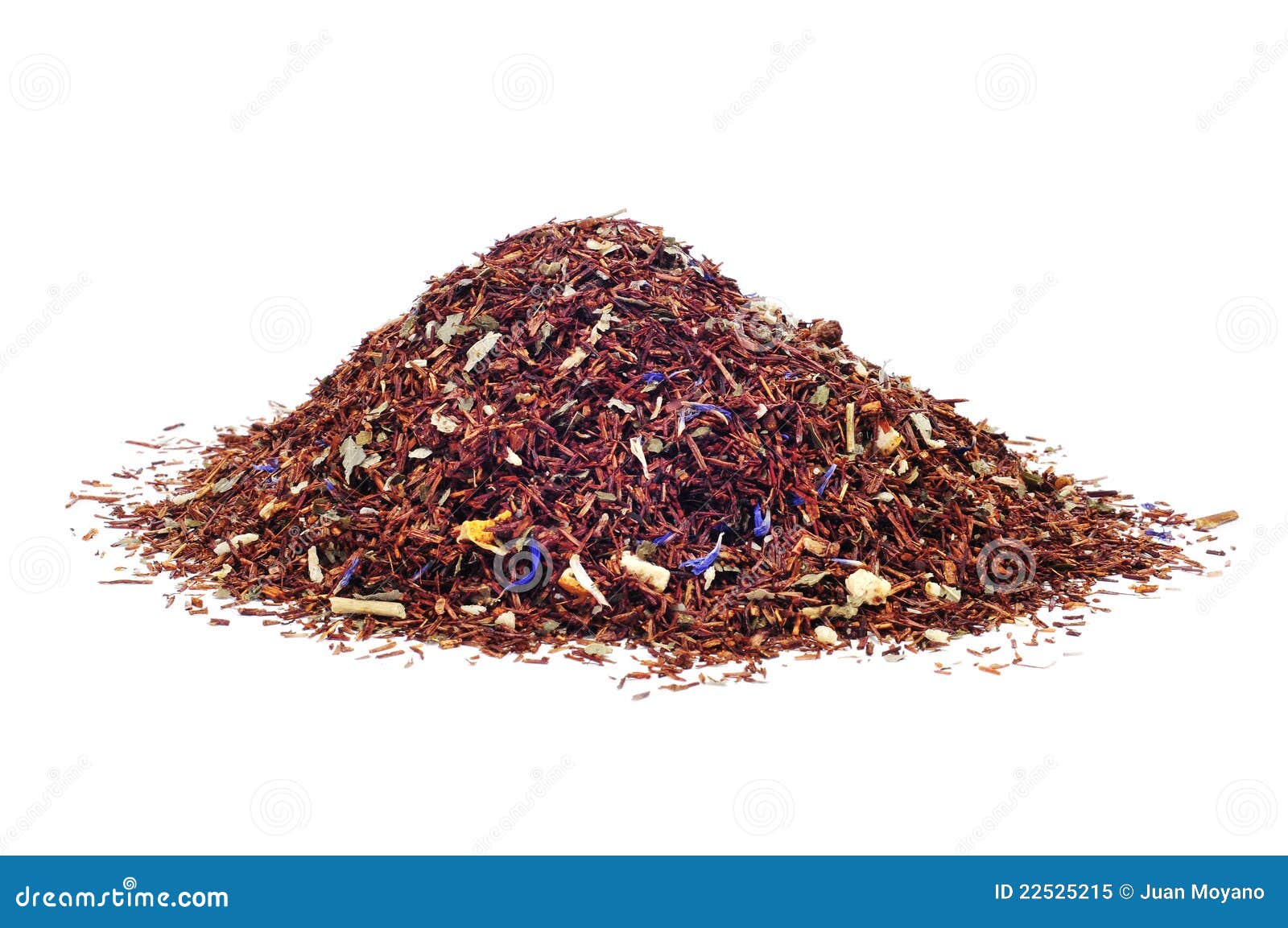 Rooibos tea stock image. Image of healthy, botanical - 22525215