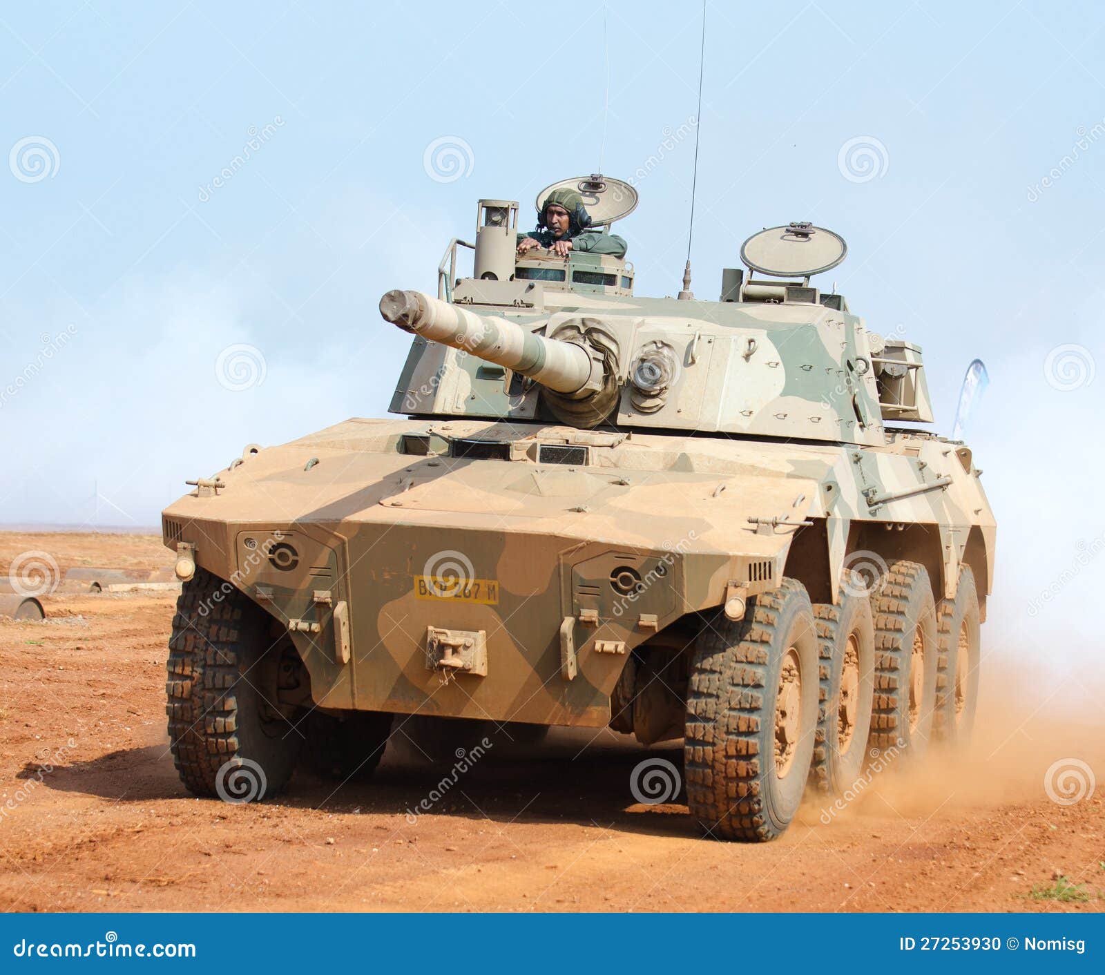 Rooikat down a dusty road editorial image. Image of south - 27253930