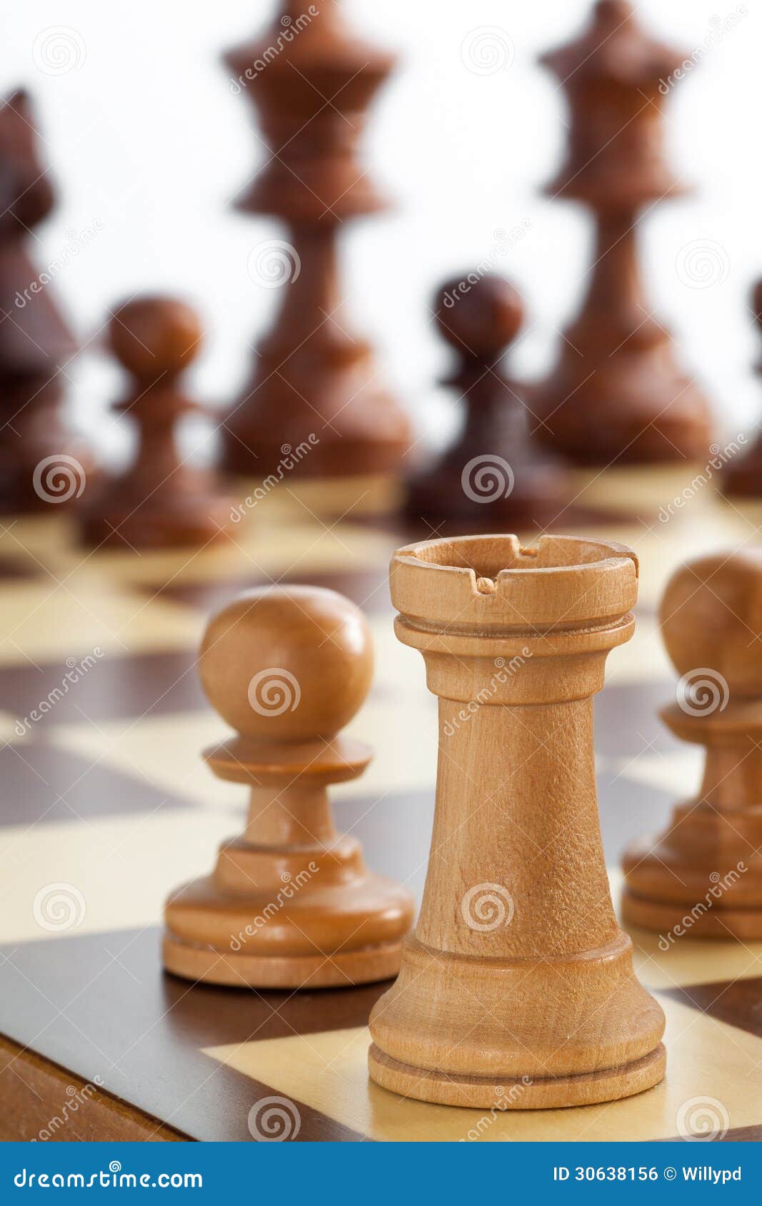 Rook chess stock photo. Image of board, leader, intelligence - 30638156