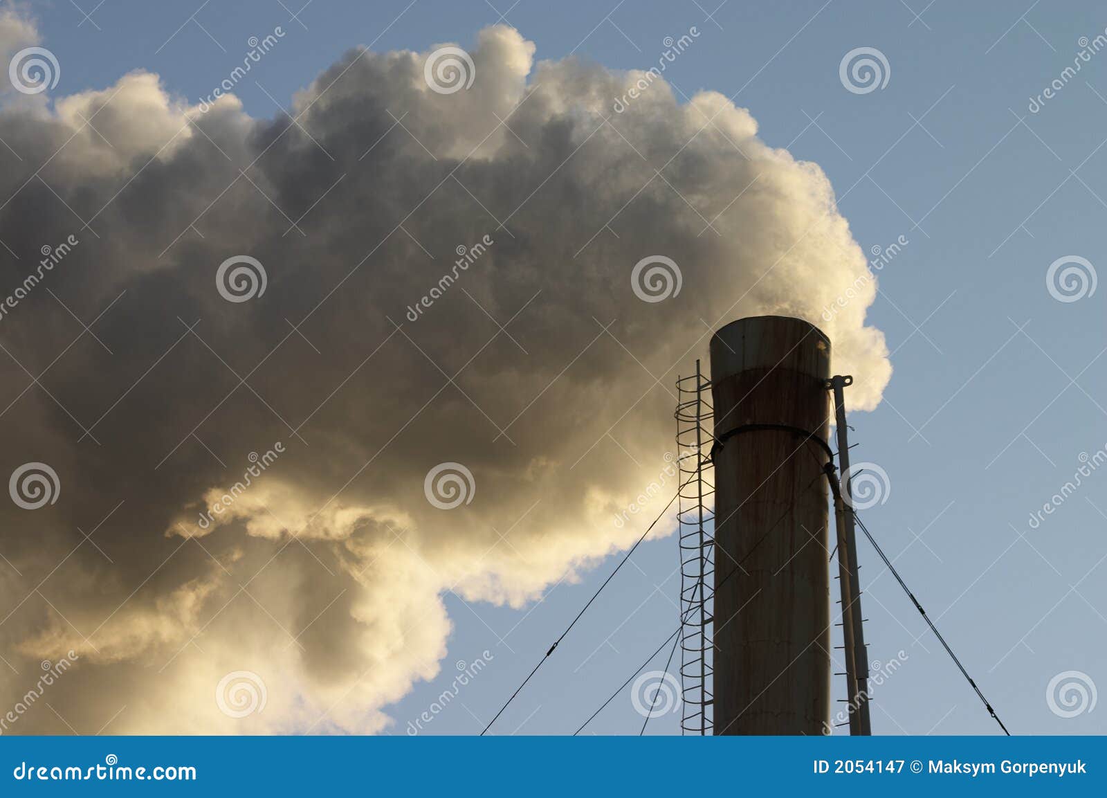 Rookwolk Van Rook Picture. Image: 2054147