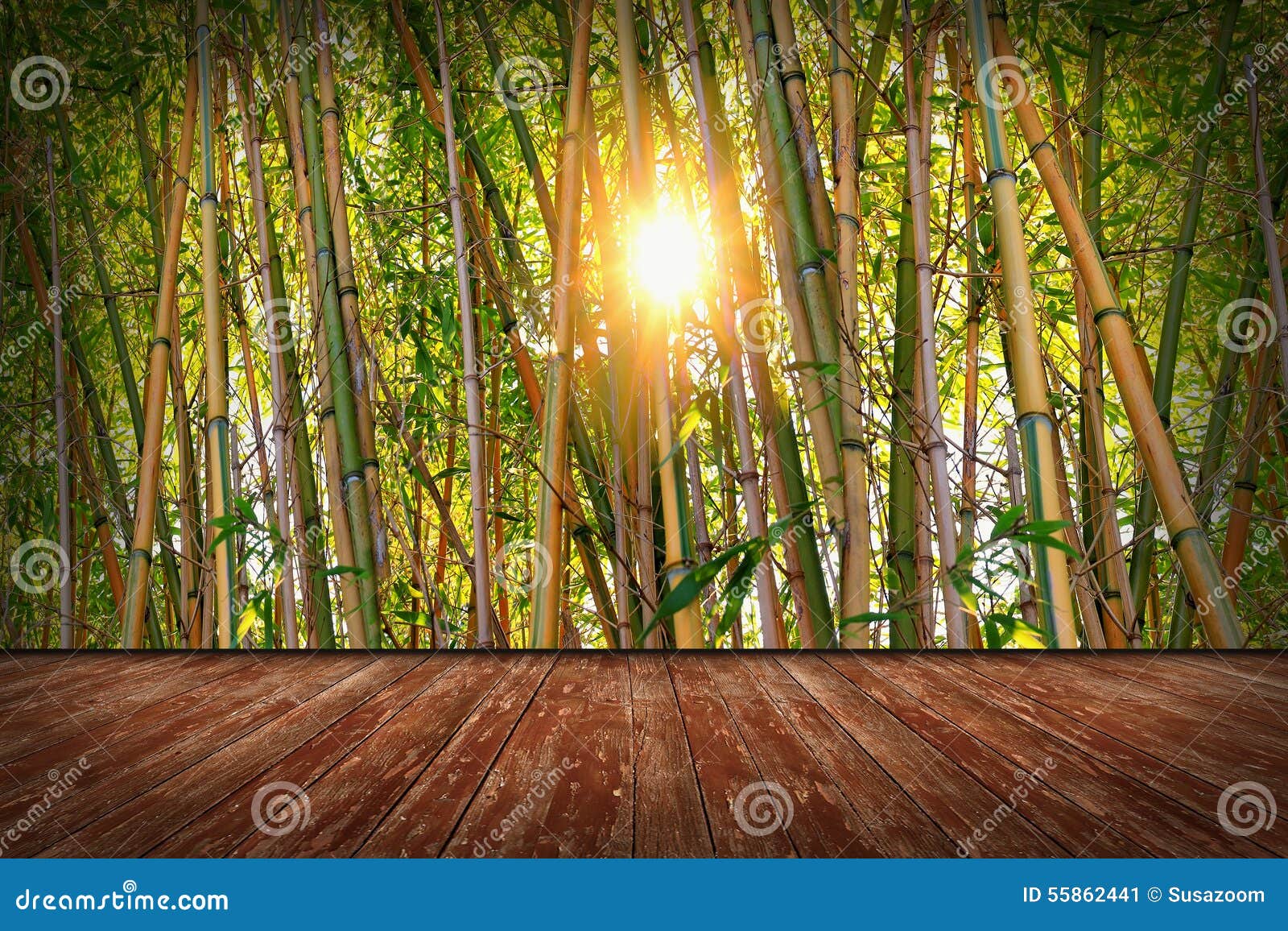 Room with bamboo wallpaper stock image. Image of design - 55862441