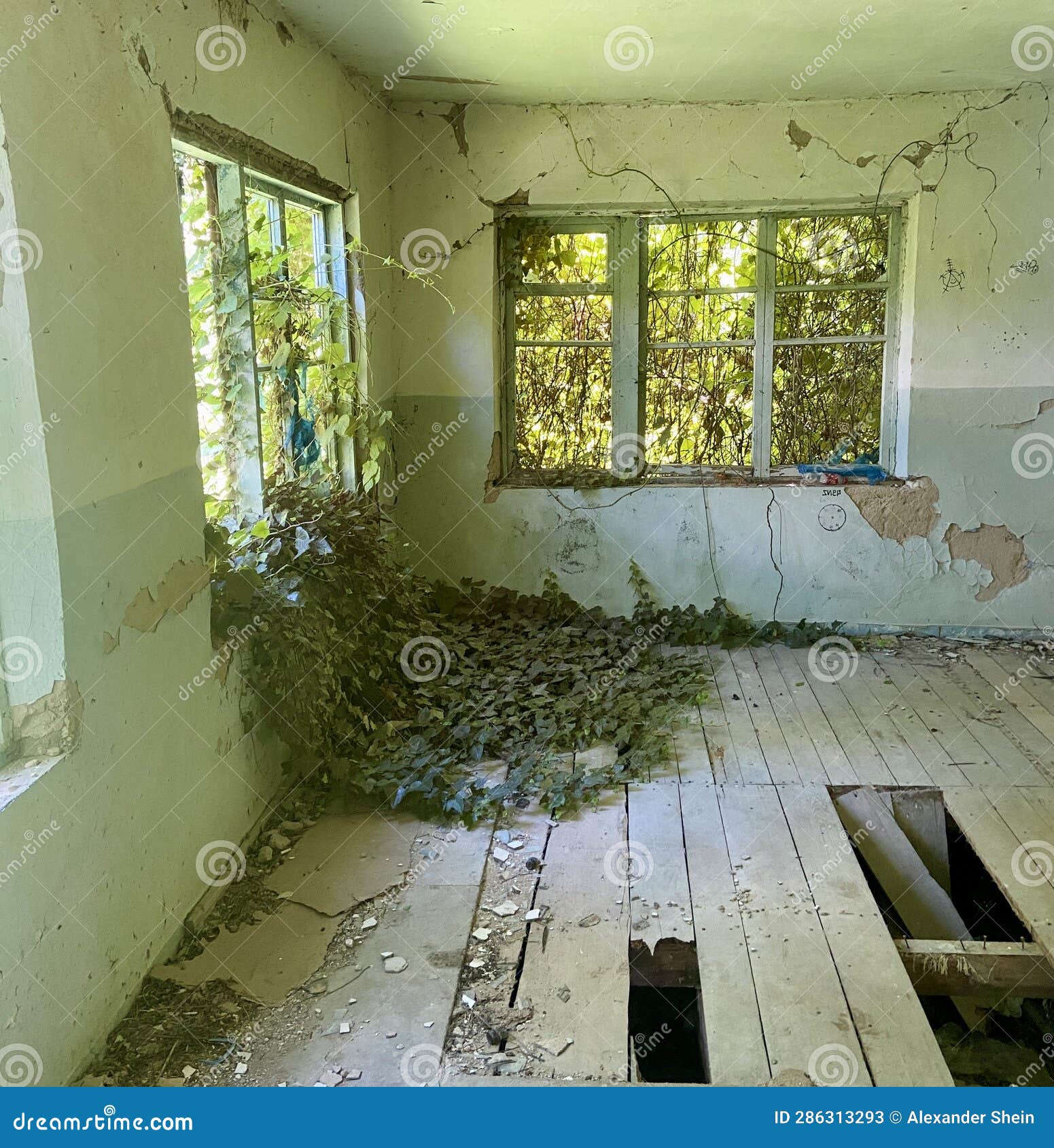 A Room with Broken Windows in an Abandoned House Overgrown with Grass ...