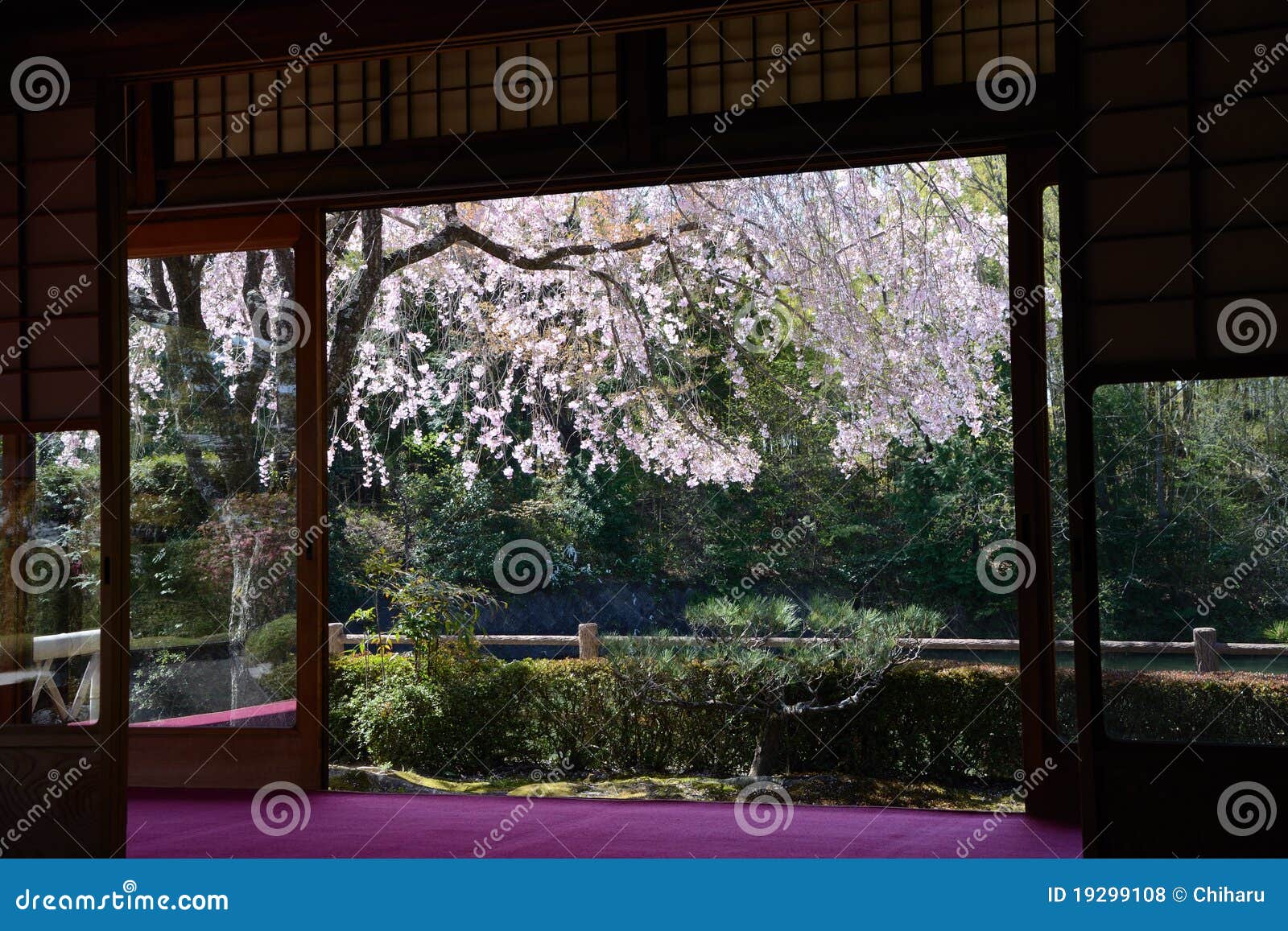 The room with good views stock photo. Image of kyoto - 19299108