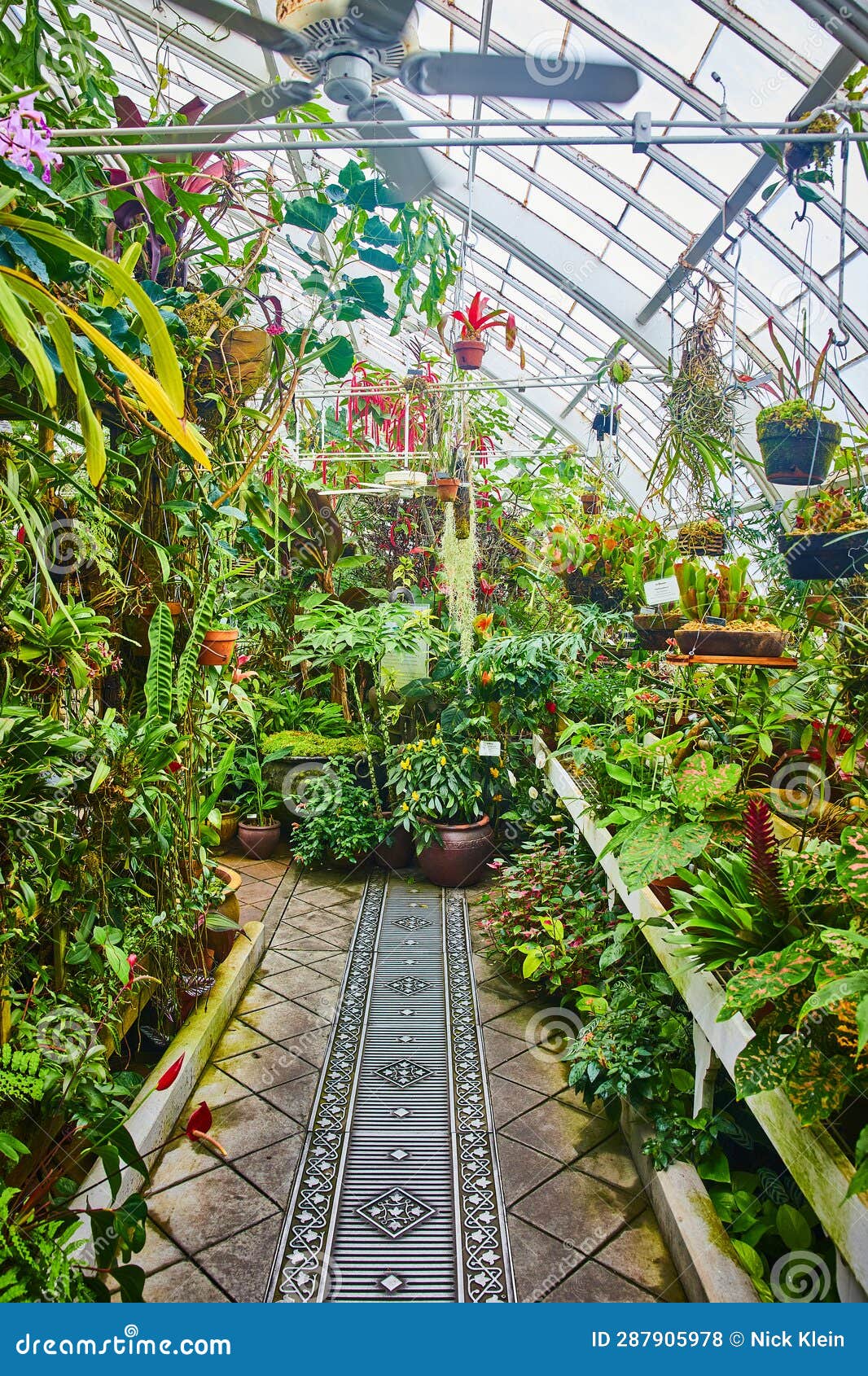 Room in Greenhouse with Potted Plants on Tables and Dangling in Pots ...