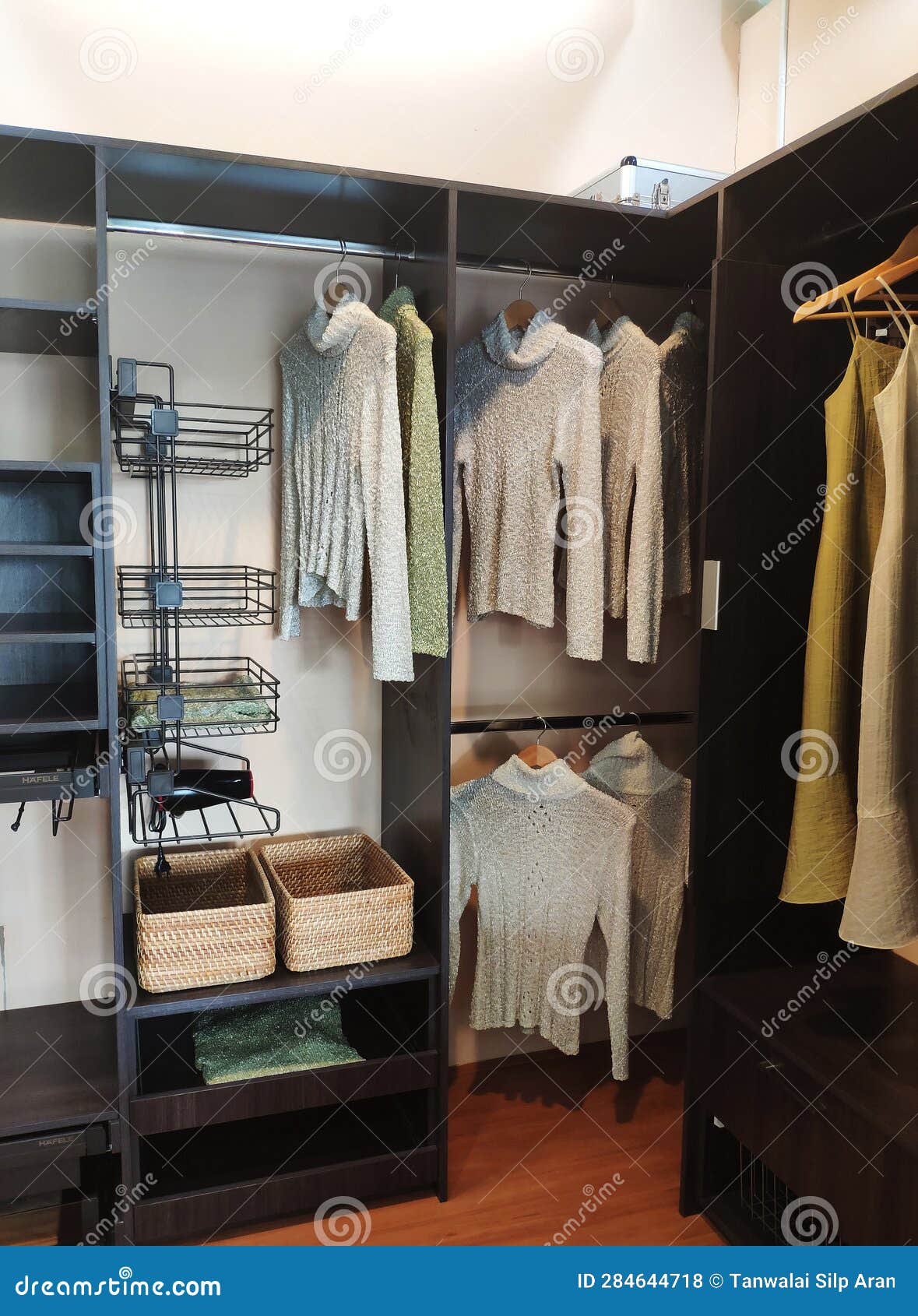 Room with the Open Empty Closet, Working Closet, Cupboard with Some ...